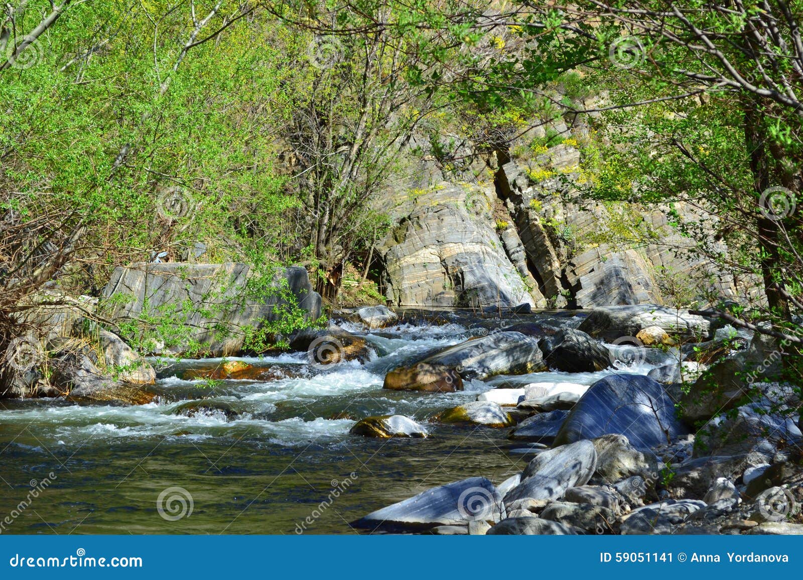 Spring river nature stock image. Image of smooth, nature - 59051141