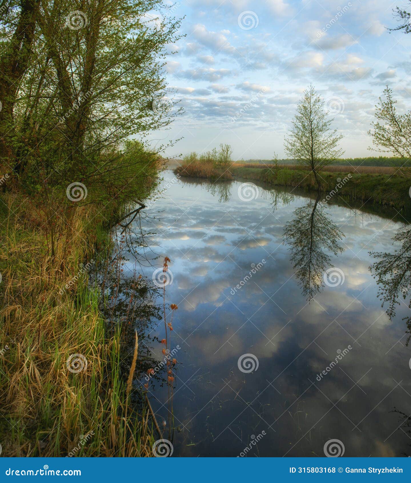 Spring River. Reflection of Clouds in Water Stock Photo - Image of ...
