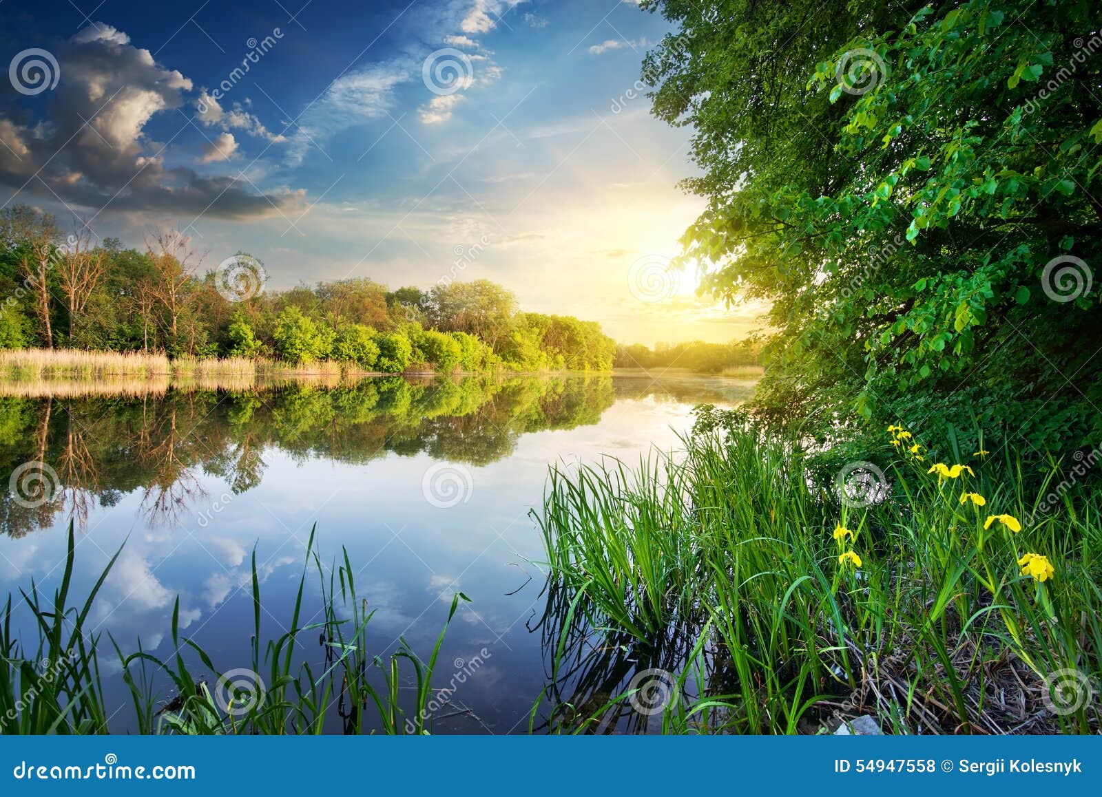 Spring river at sunset stock photo. Image of summer, season - 54947558