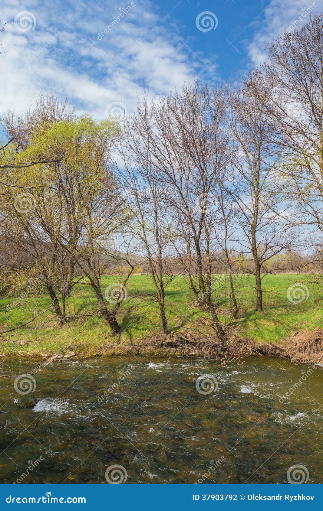 Spring river stock photo. Image of environment, leaf - 37903792