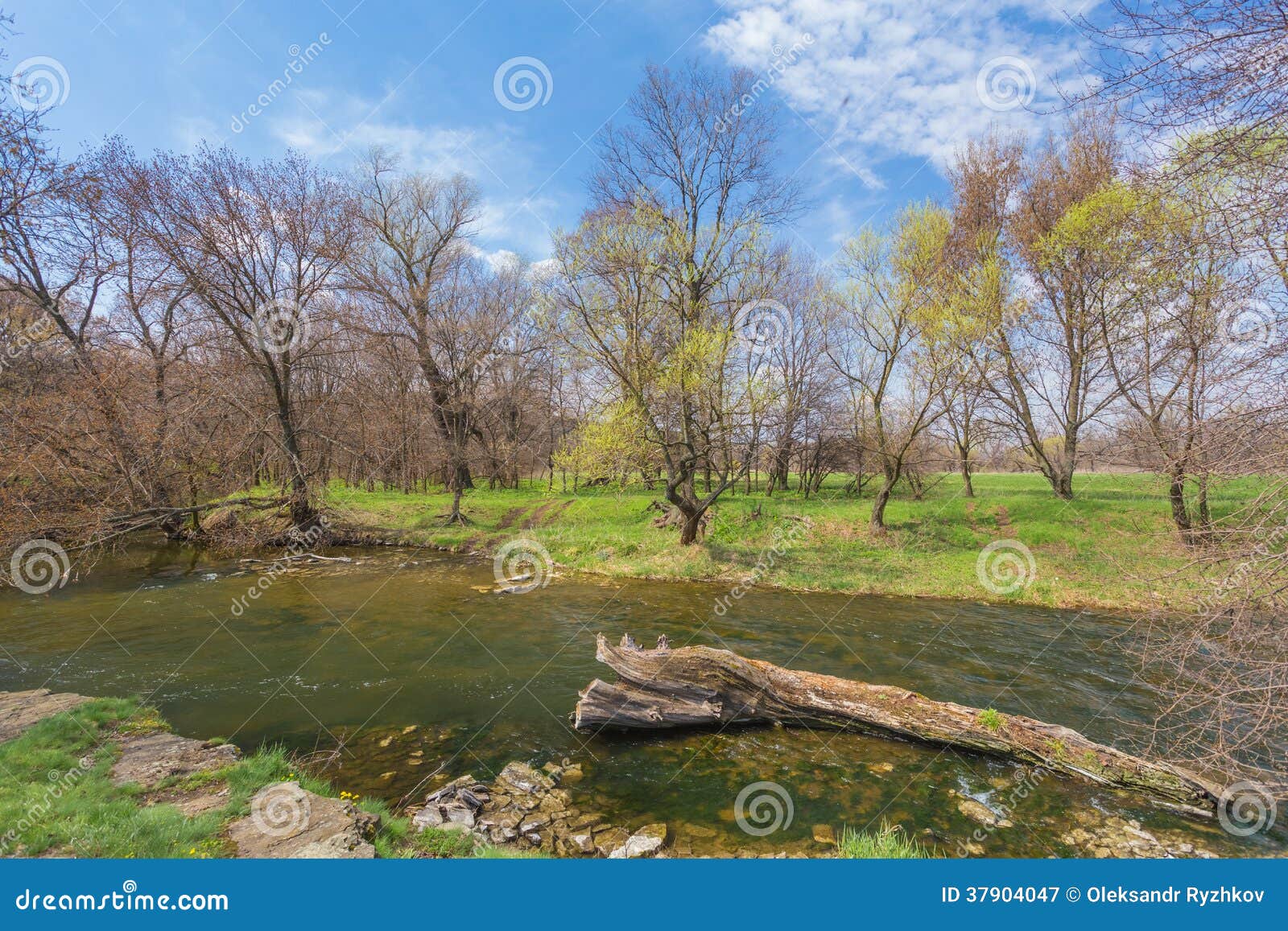 Spring river stock image. Image of bush, purple, environment - 37904047