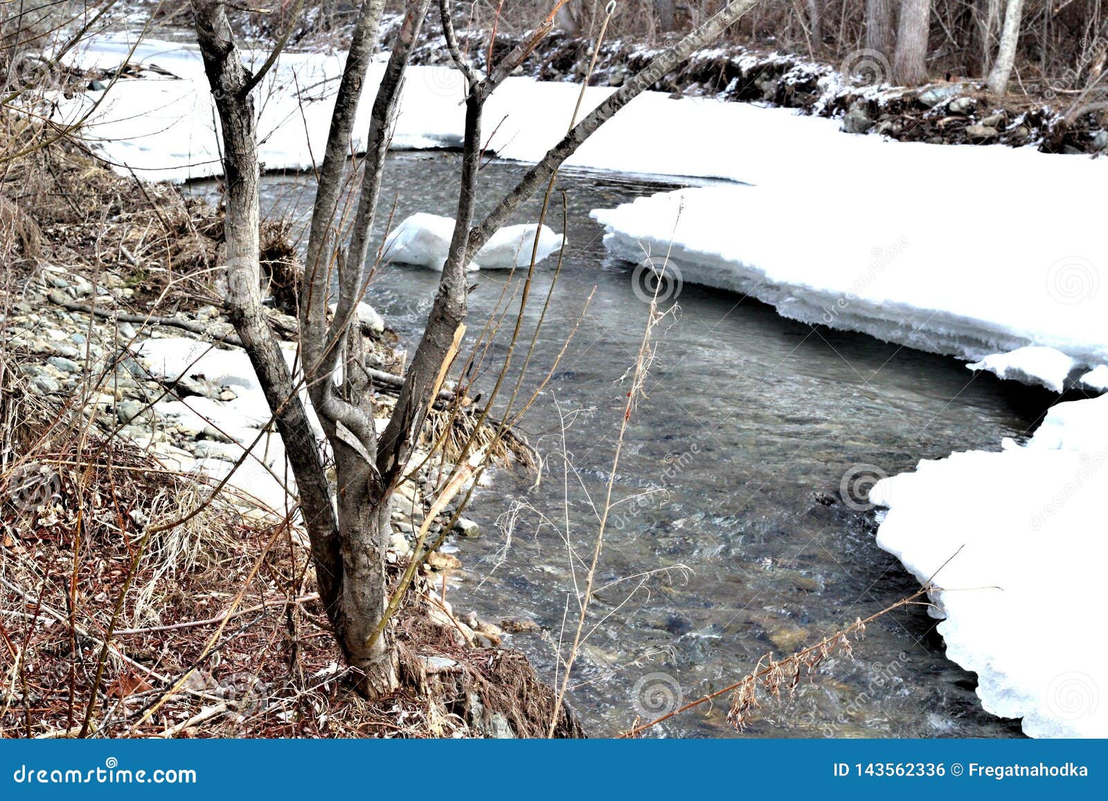 Nature Is Waking Up And Spring Is Coming. One Beautiful Moment. A New ...