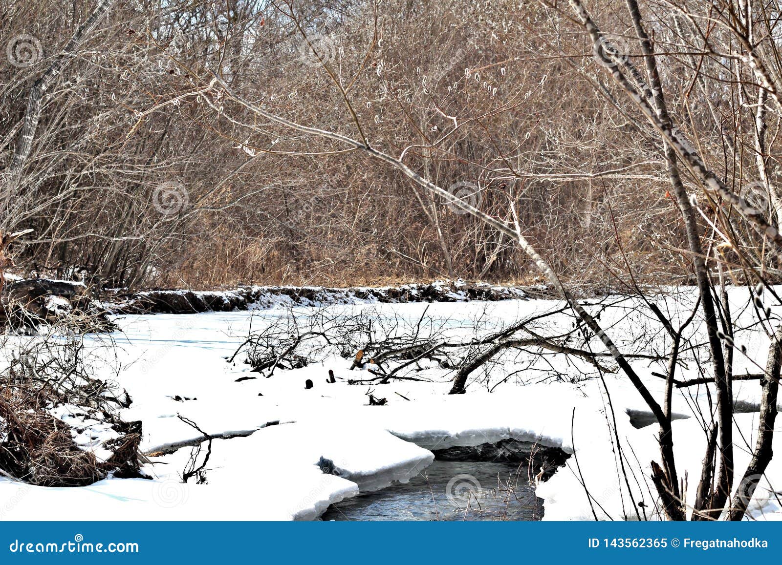 Nature Is Waking Up And Spring Is Coming. One Beautiful Moment. A New ...