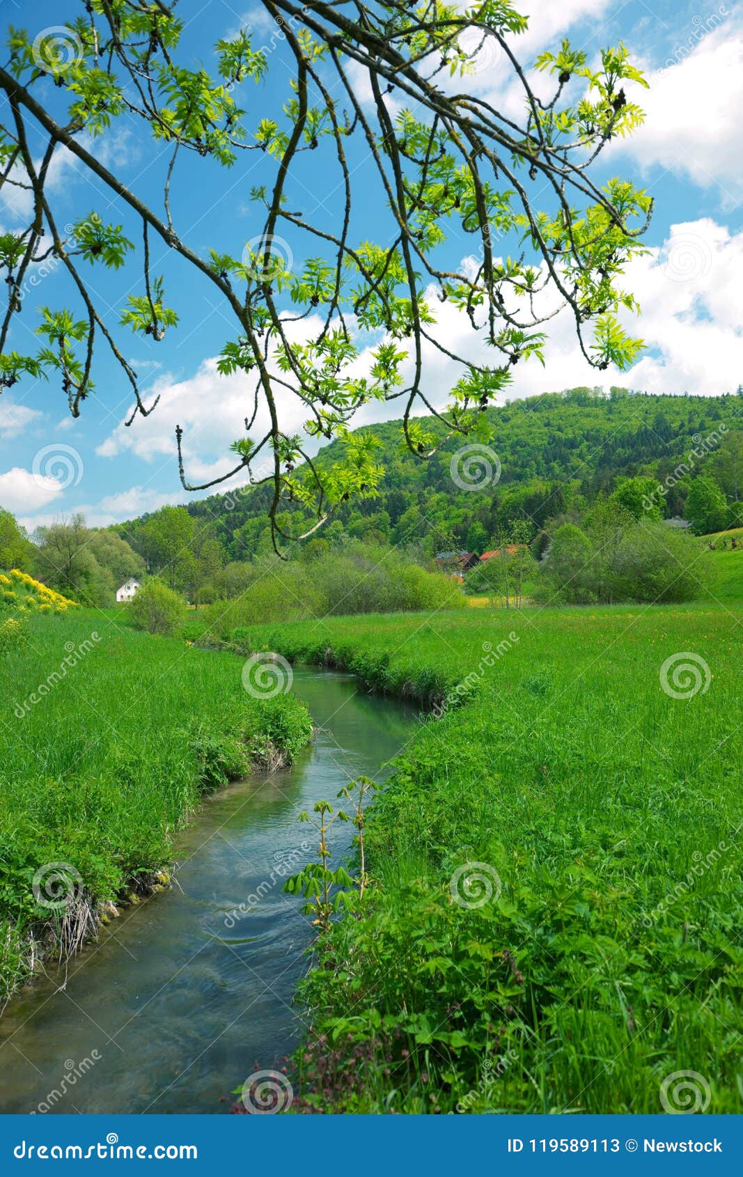 Spring River Valley stock image. Image of stream, forest - 119589113