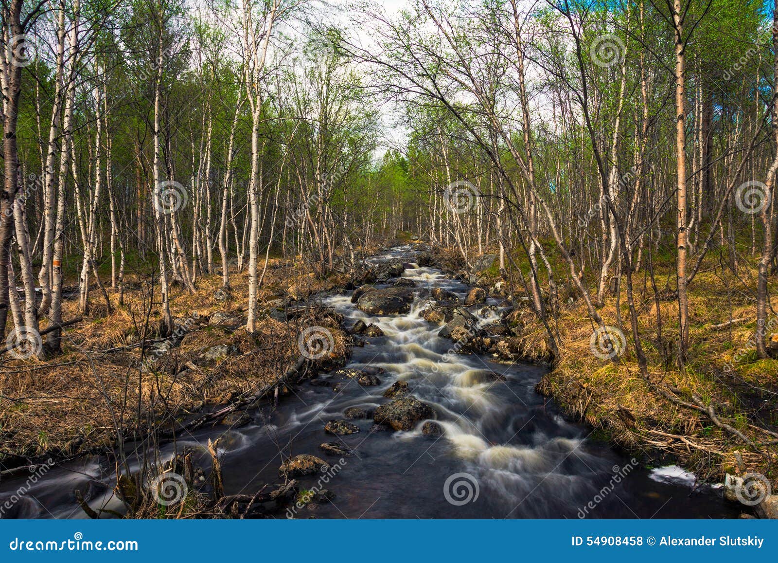The spring river stock photo. Image of forest, water - 54908458