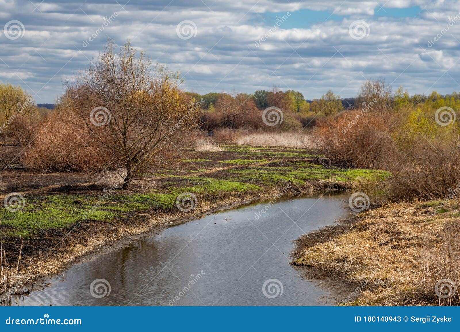 Spring Riverbank after Fires in the Forest and Steppe Stock Image ...