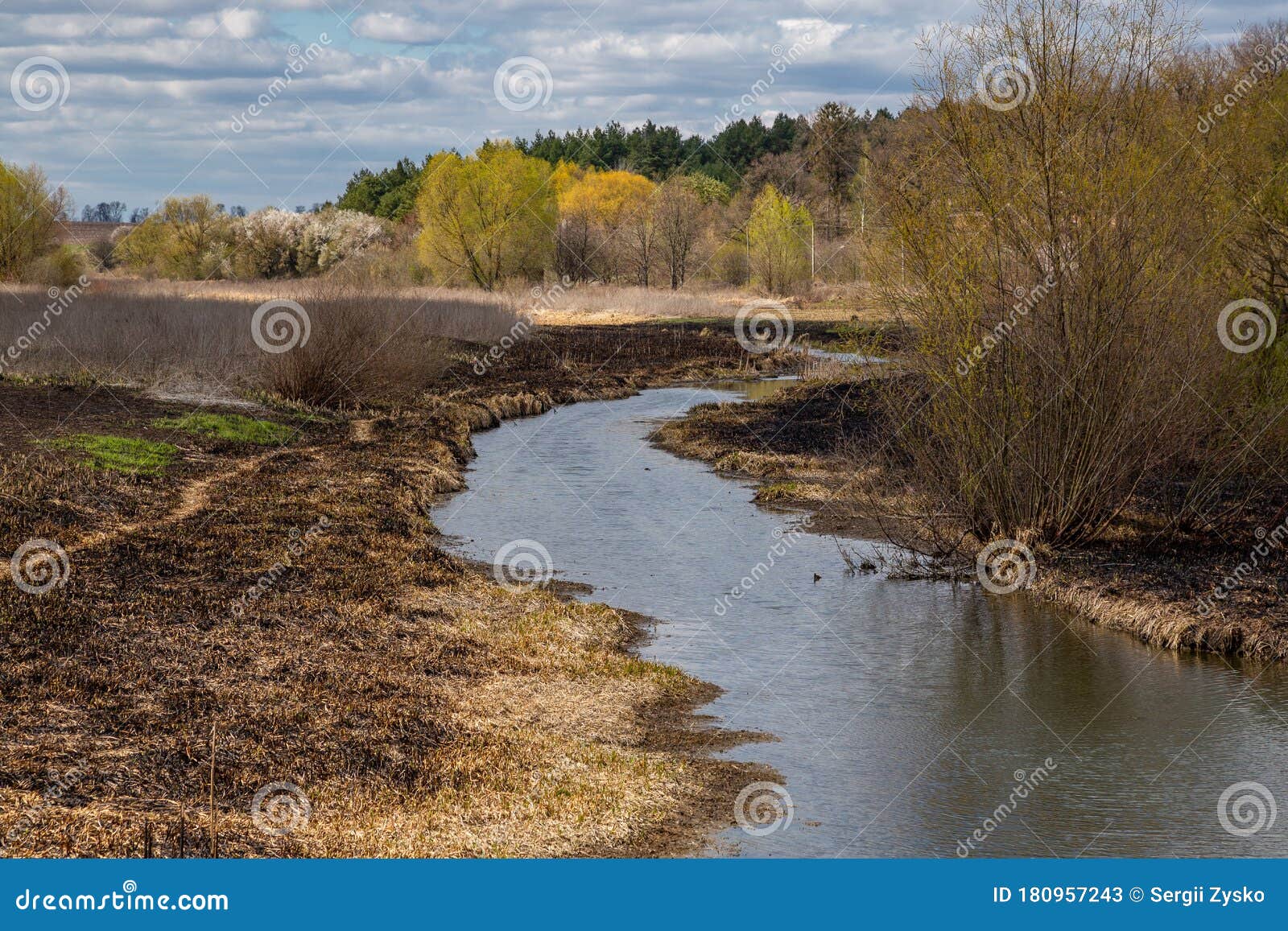 Spring Riverbank after Fires in the Forest and Steppe Stock Image ...