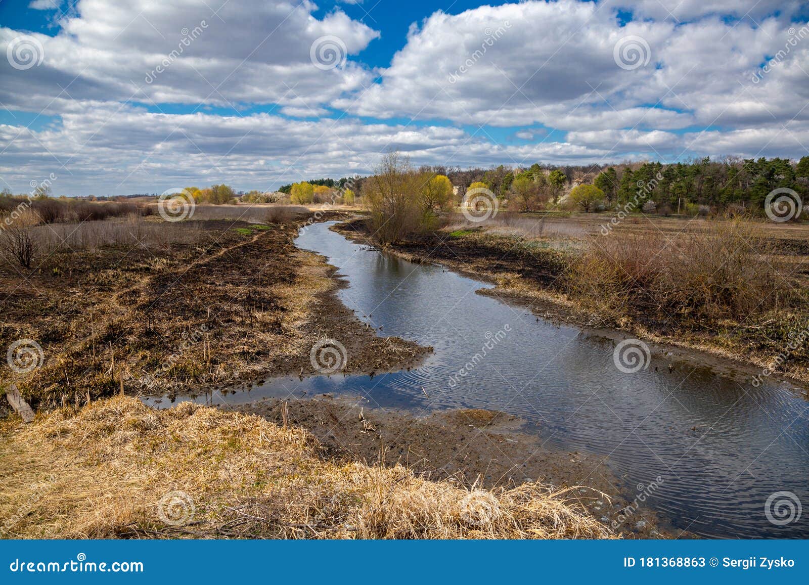 Spring Riverbank after Fires in the Forest and Steppe Stock Image ...