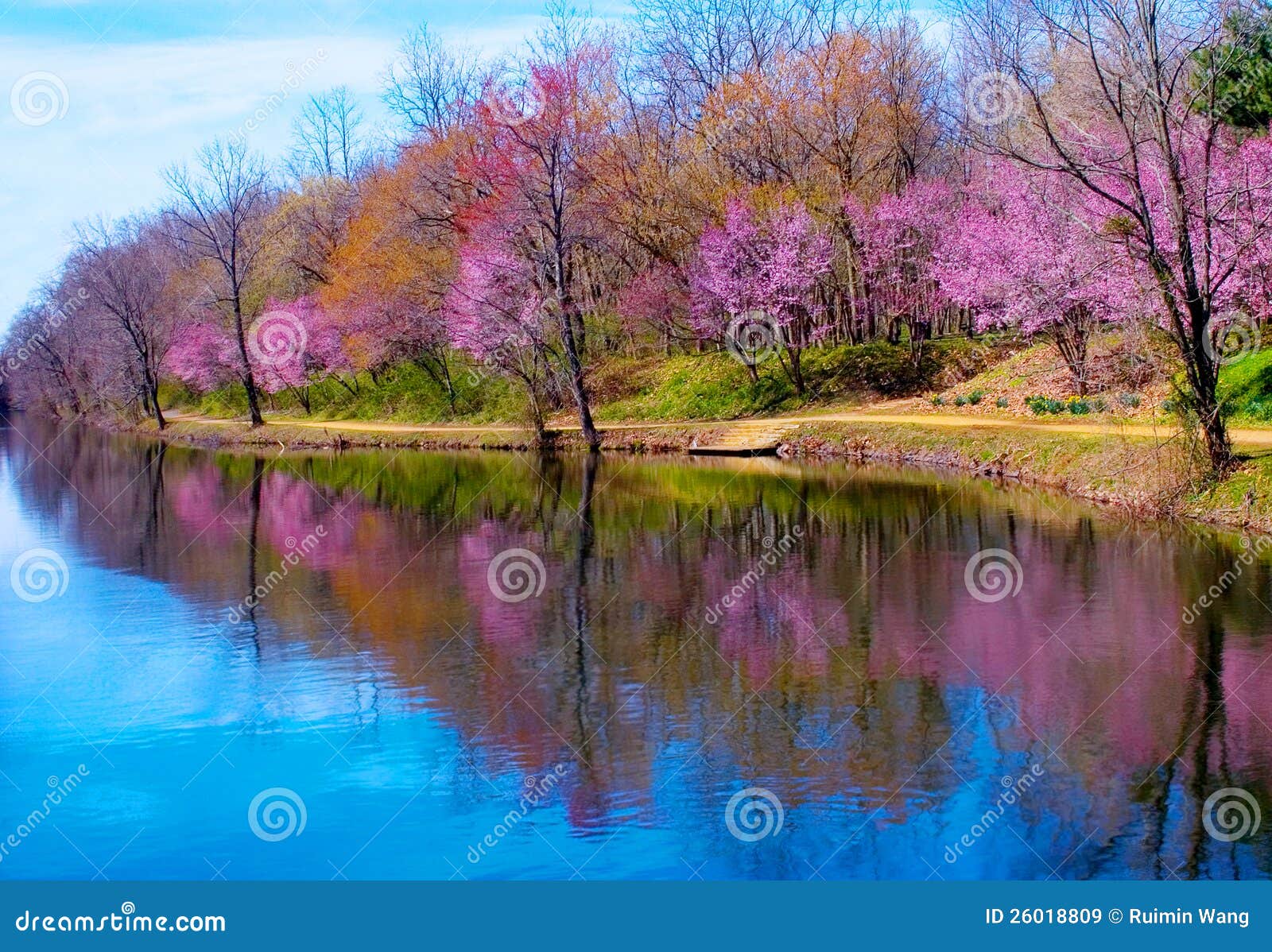 Spring Riverside stock image. Image of beautiful, america - 26018809