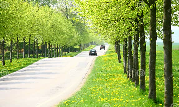 Spring road stock photo. Image of fresh, outdoor, nature - 1712372