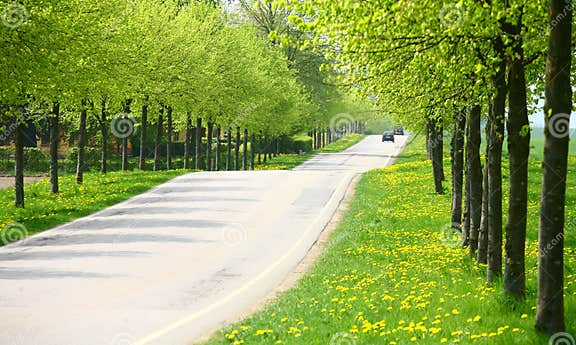 Spring road stock image. Image of forest, colour, lines - 1712393