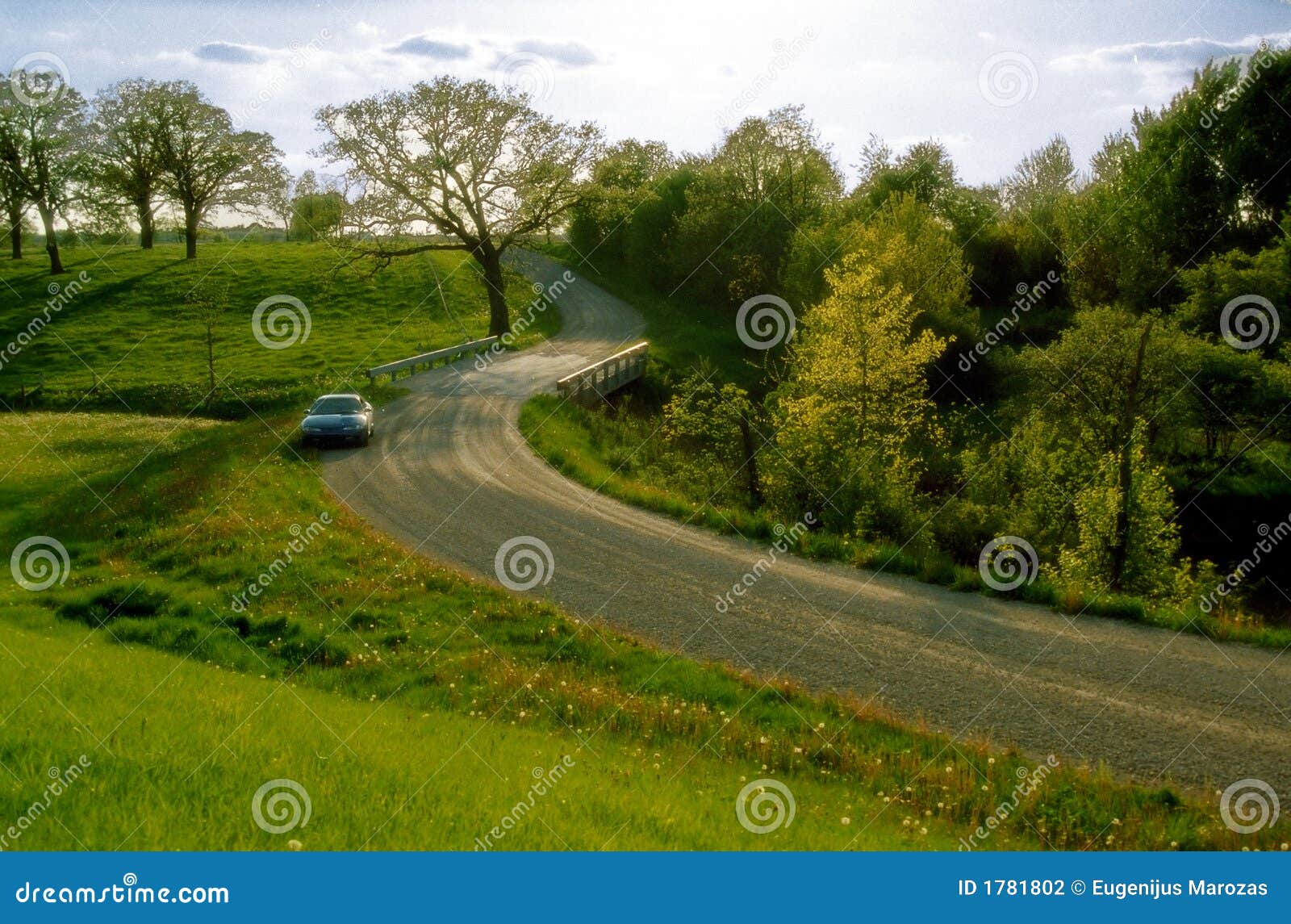 Spring road stock photo. Image of countryside, flowers - 1781802
