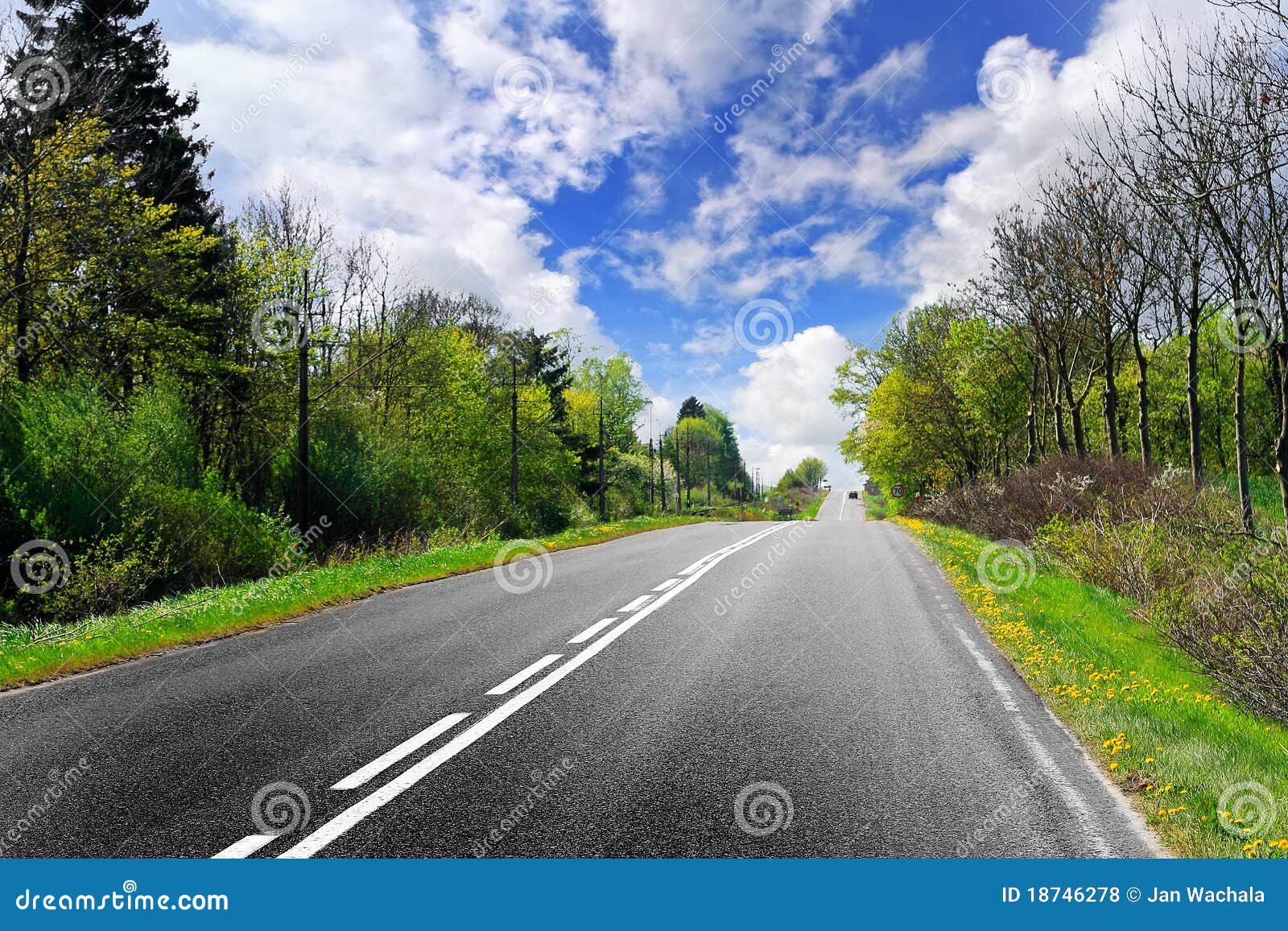 Spring road stock photo. Image of scene, park, deciduous - 18746278
