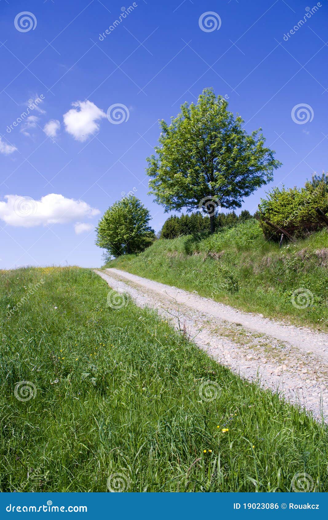 Spring road stock photo. Image of countryside, clouds - 19023086
