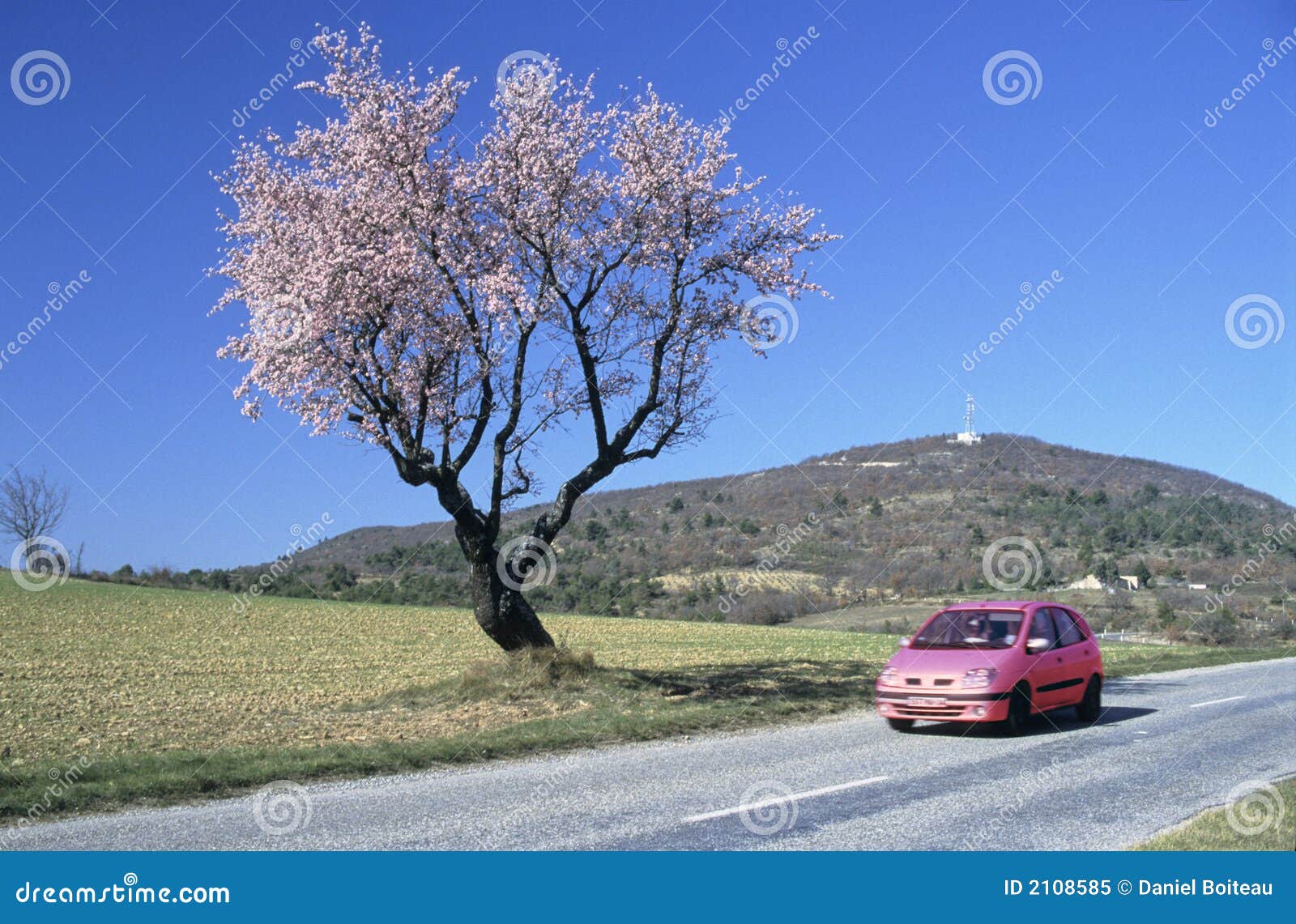 Spring road stock image. Image of europe, sunny, flower - 2108585