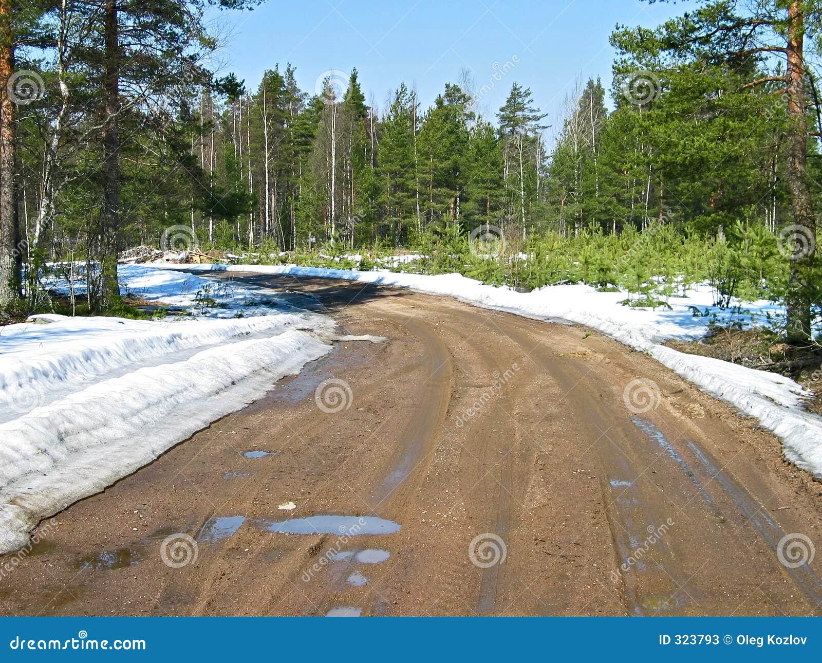 Spring road stock image. Image of forest, droplet, change - 323793