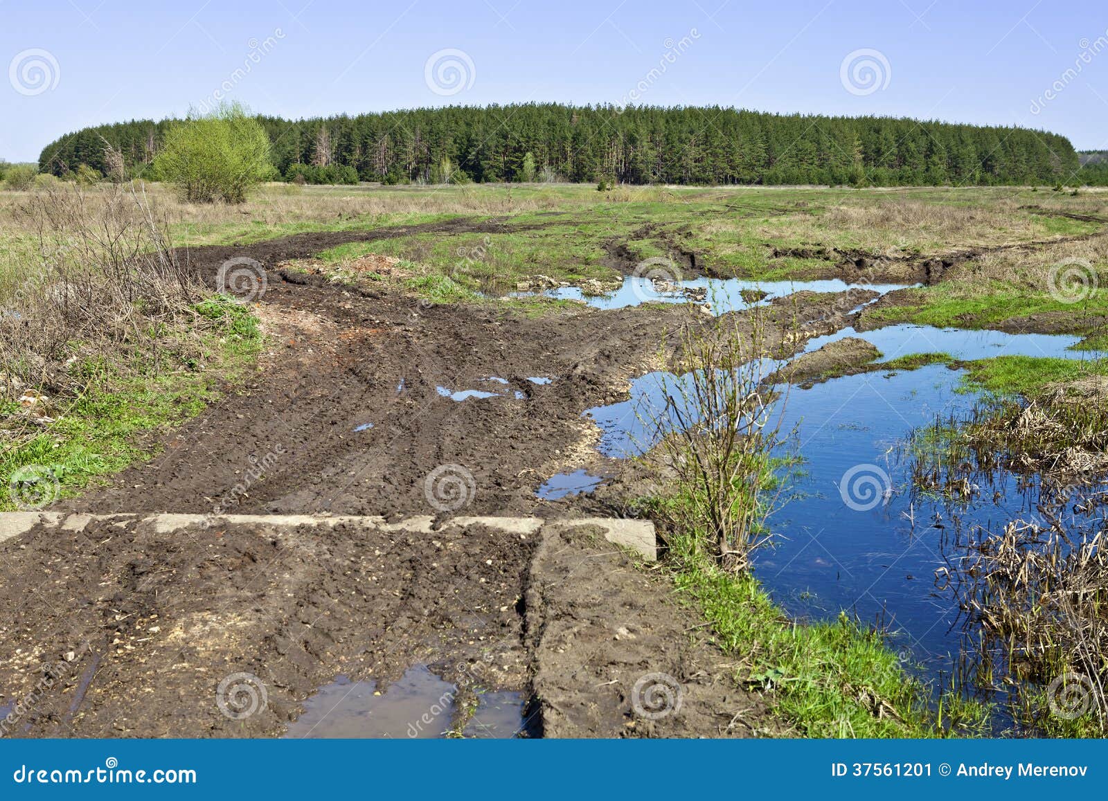 Spring road stock image. Image of marsh, spring, meadow - 37561201
