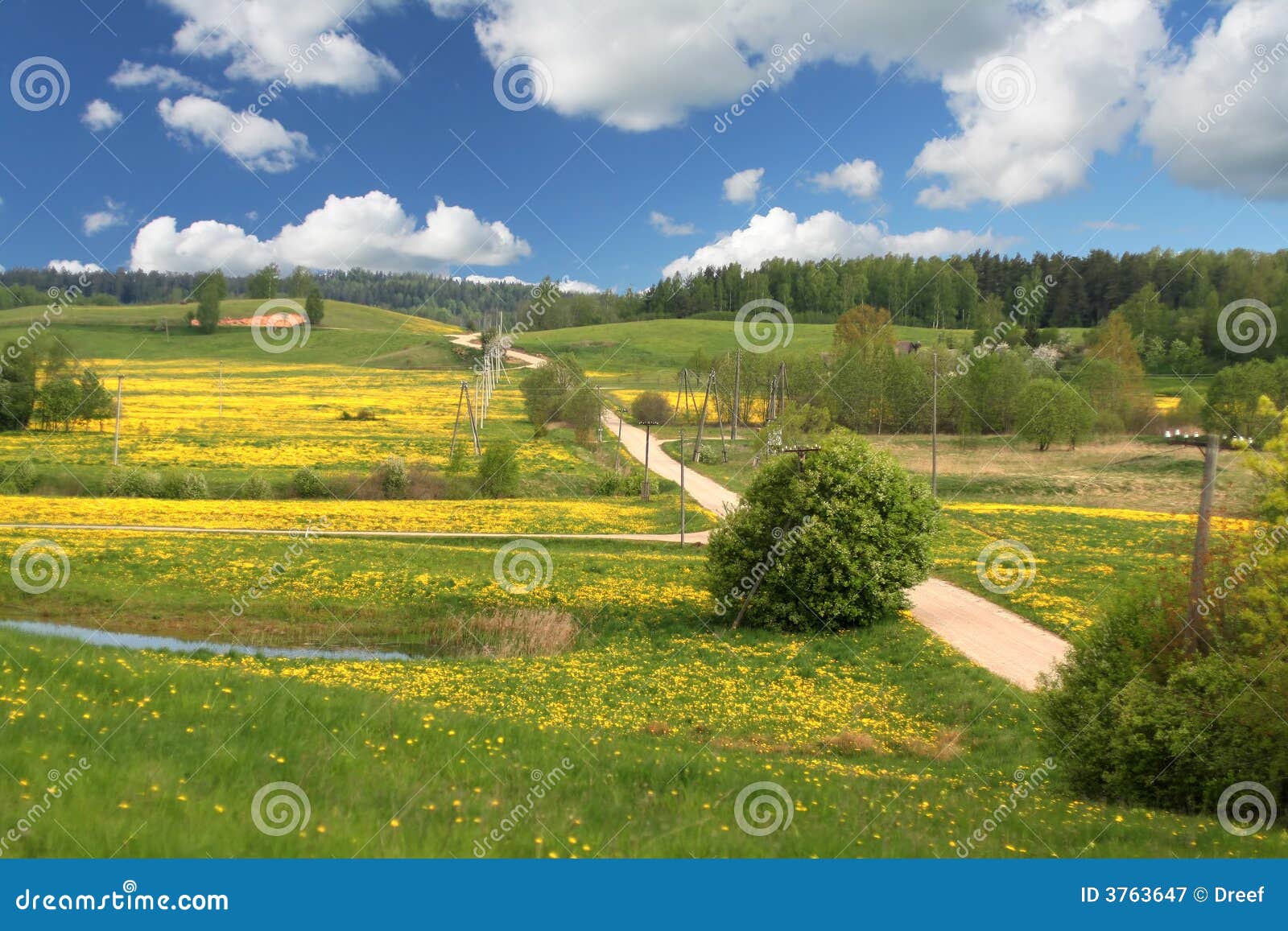 Spring road stock image. Image of grass, area, flower - 3763647