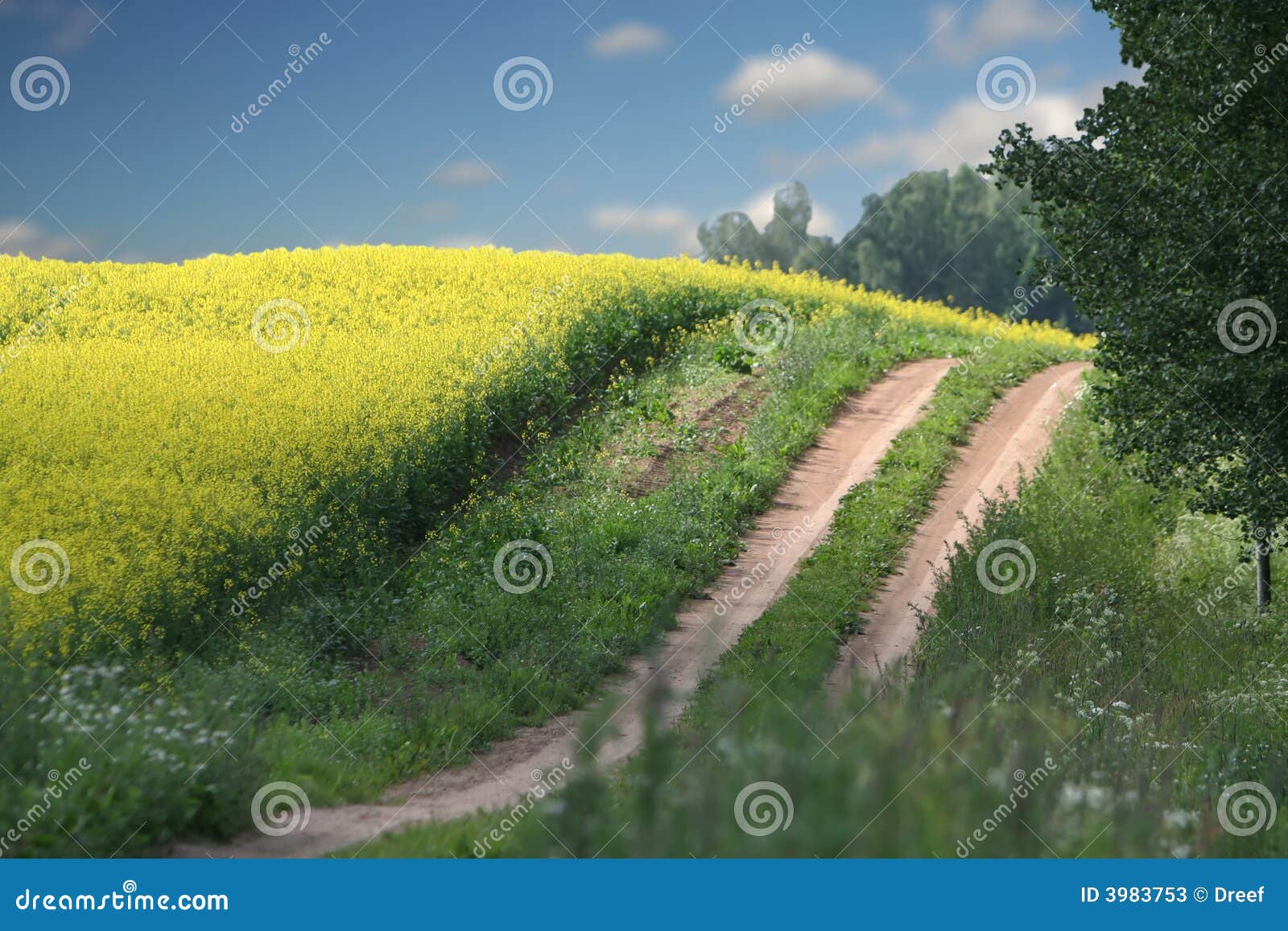 Spring road stock image. Image of cloudscape, landscape - 3983753