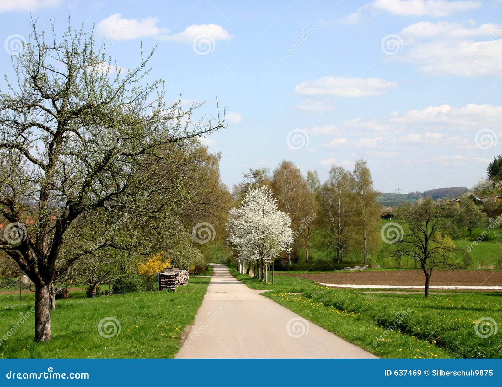 Spring road stock image. Image of germany, fields, quiet - 637469