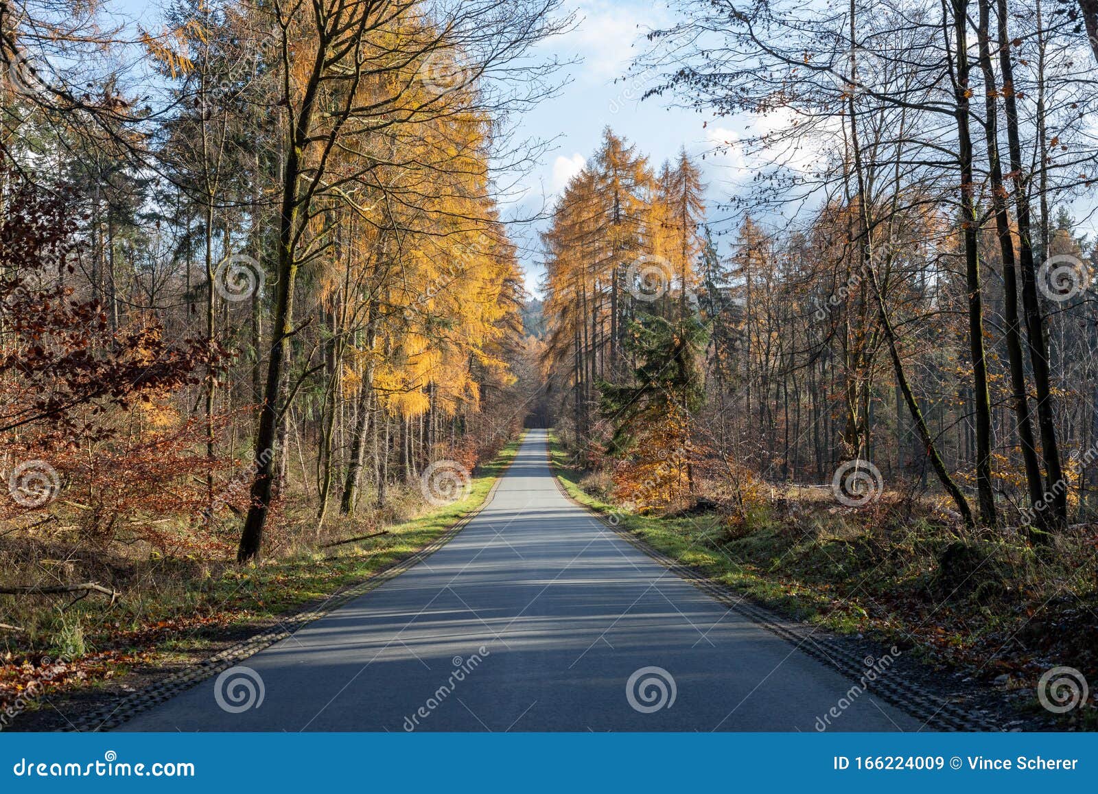 Spring Road, Countryside in Germany - Taunus Stock Image - Image of ...
