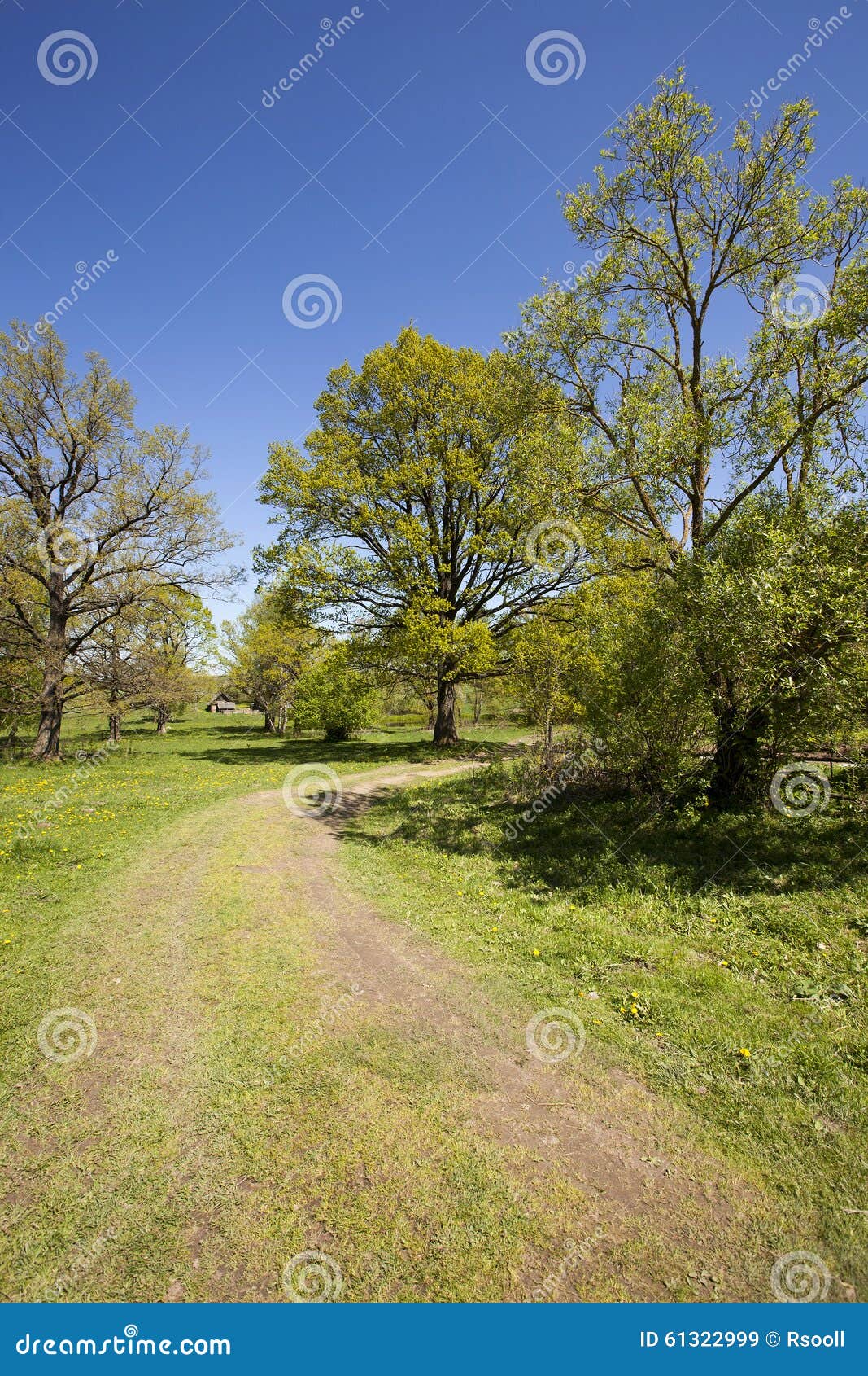 Spring road. countryside stock image. Image of empty - 61322999
