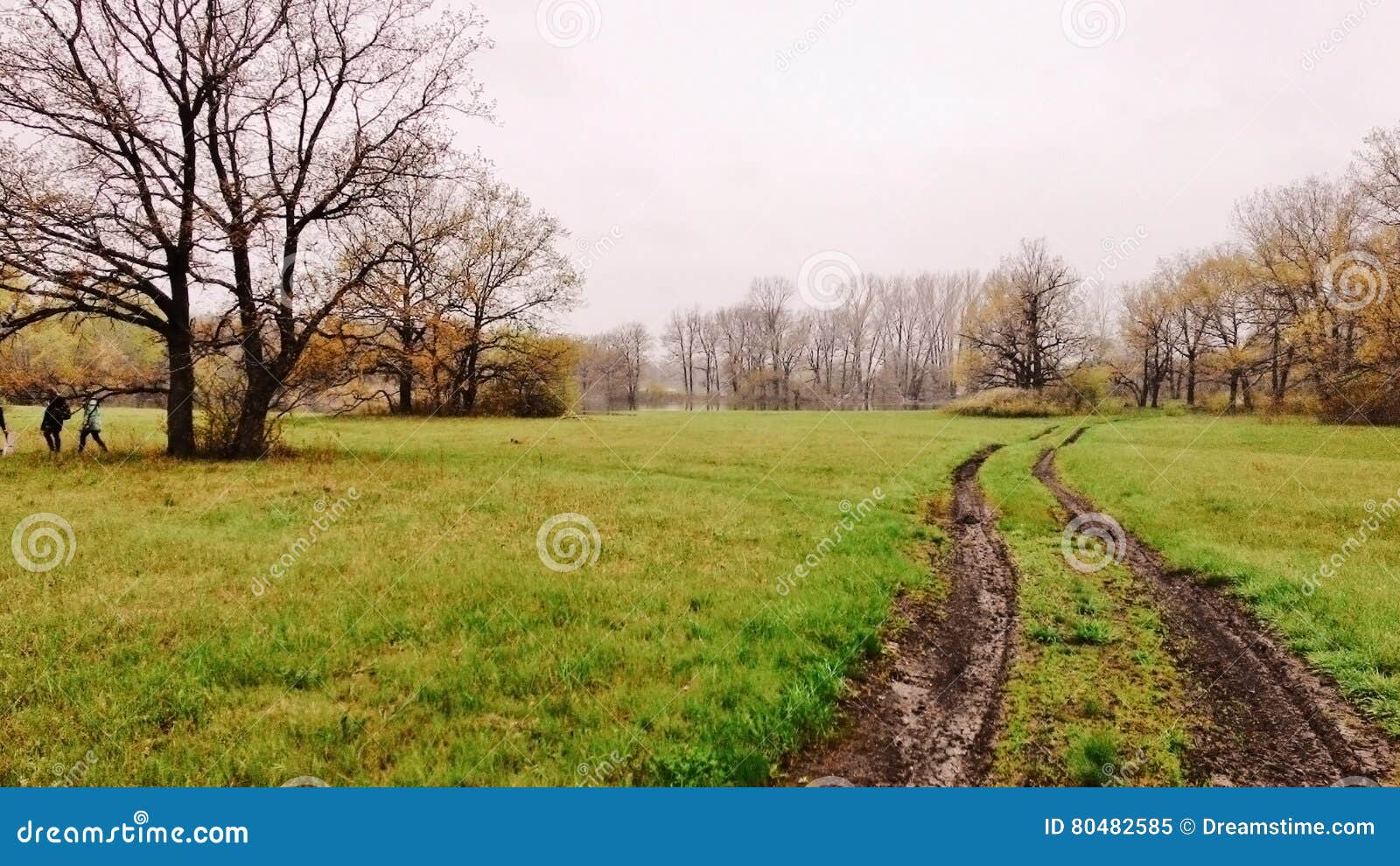 Spring road stock image. Image of path, travel, trees - 80482585
