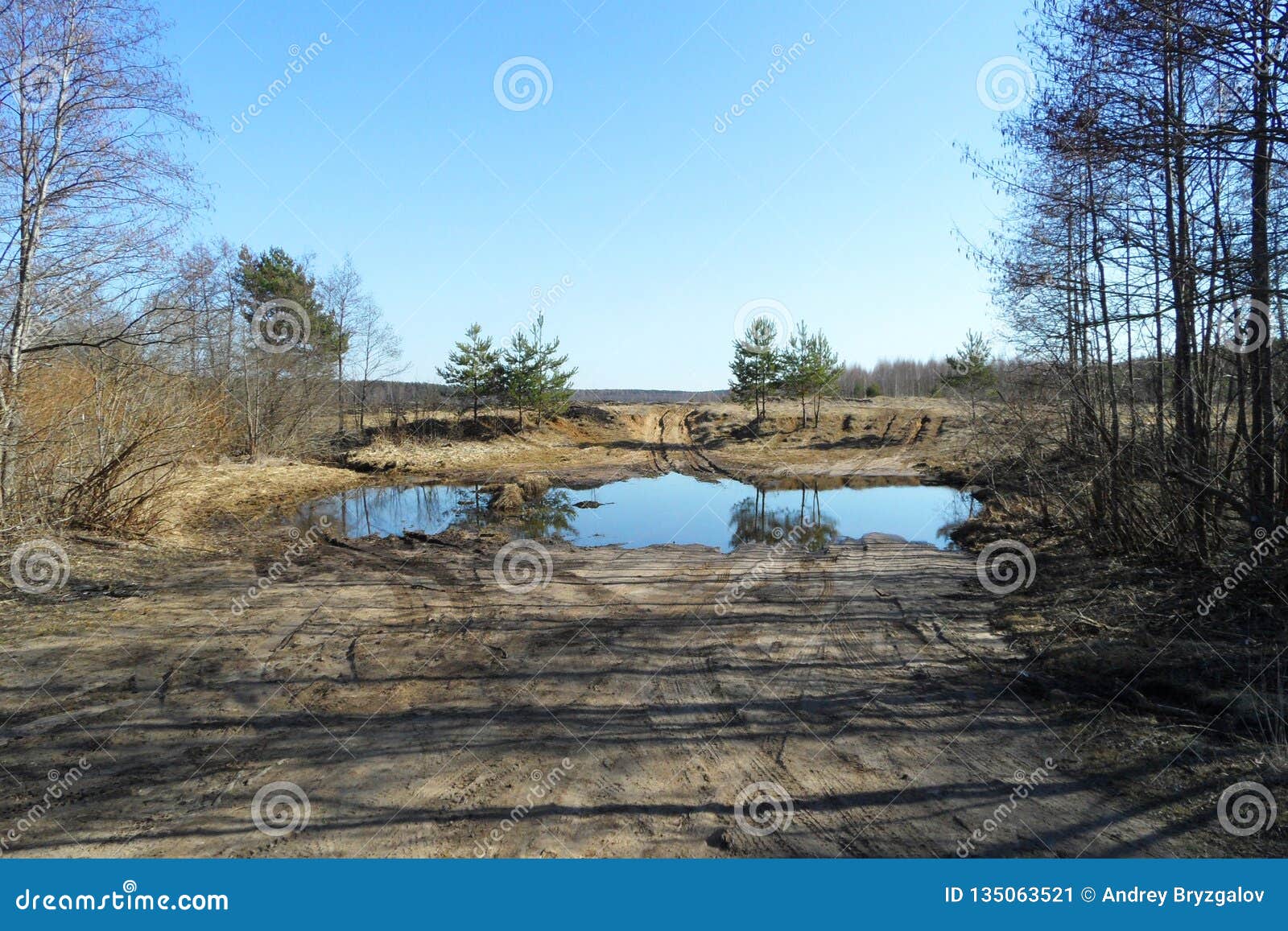 Spring Road in the Forest with a Huge Puddle of Impassable Mud on a ...