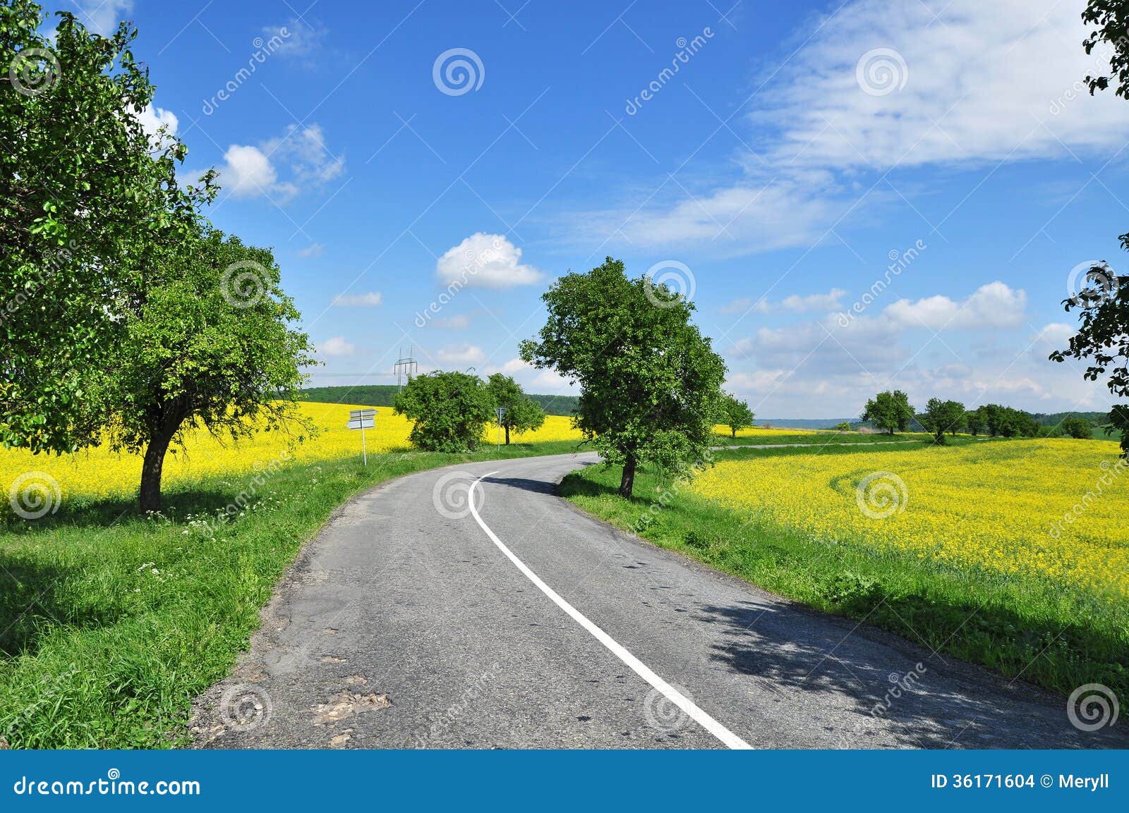 Spring road landscape stock photo. Image of nature, landscape - 36171604