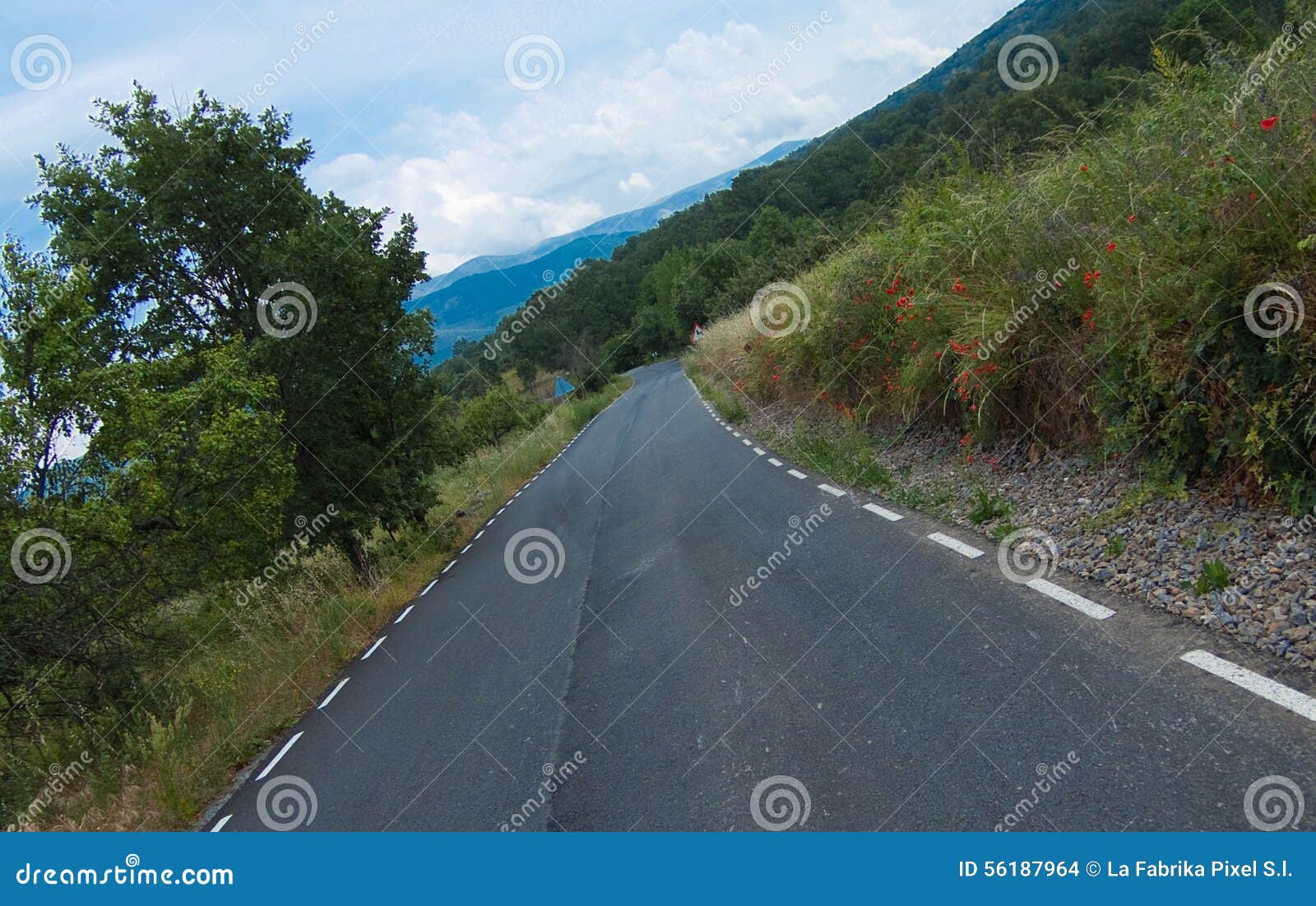 Spring road stock photo. Image of spain, mountains, bloom - 56187964