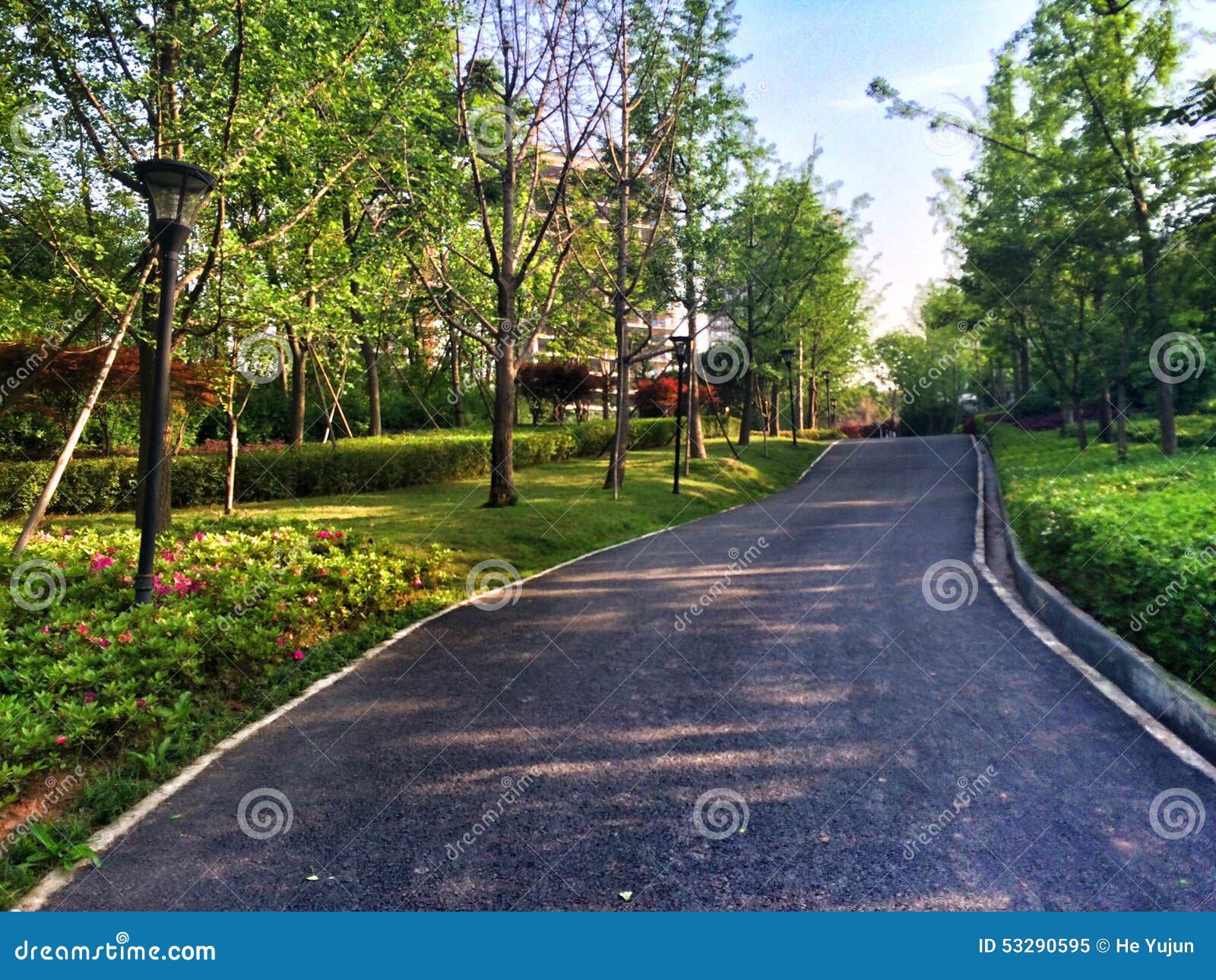 Spring road stock image. Image of trees, sunny, flower - 53290595