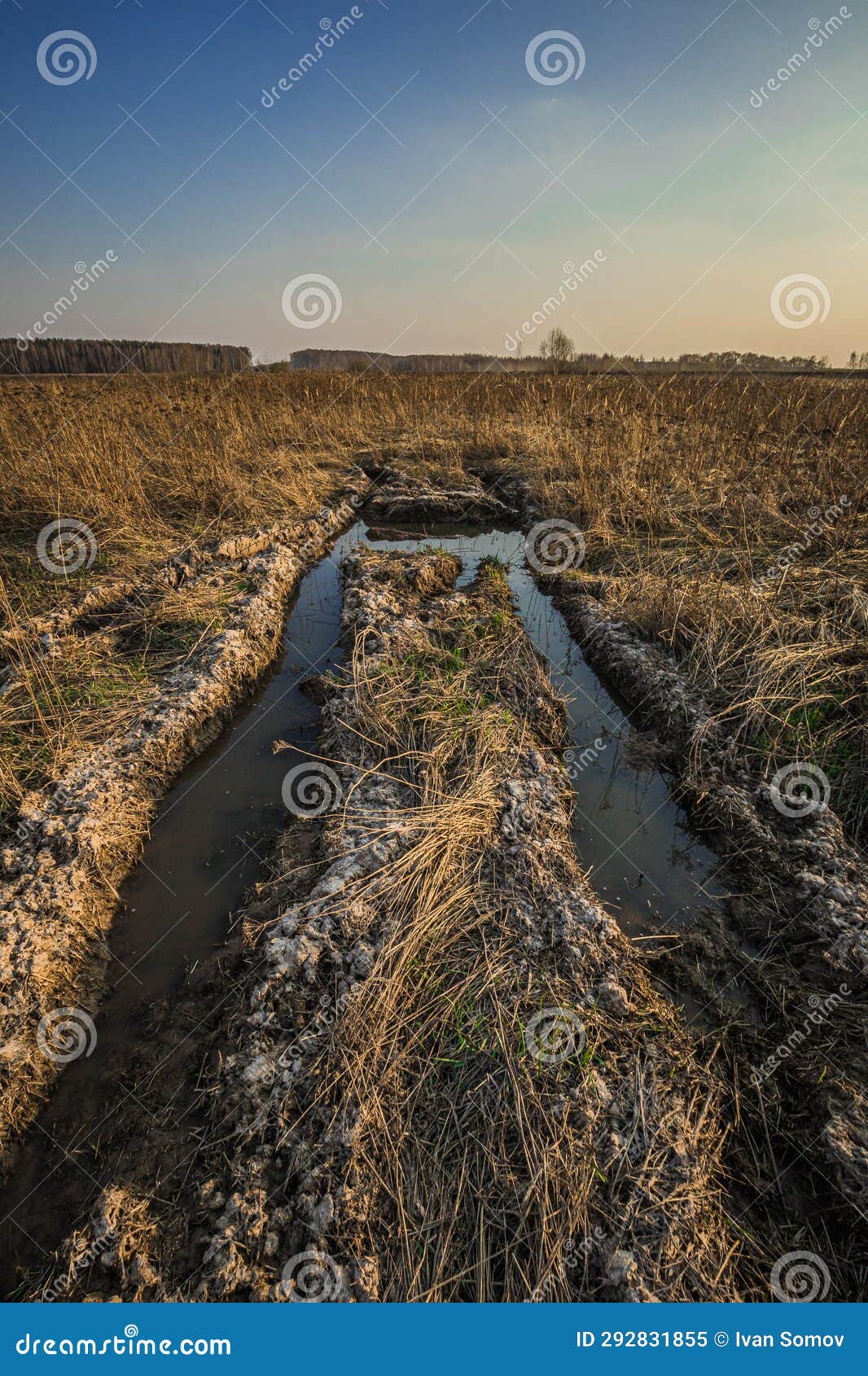 Spring Roads Outside the City Stock Image - Image of plants, colorful ...