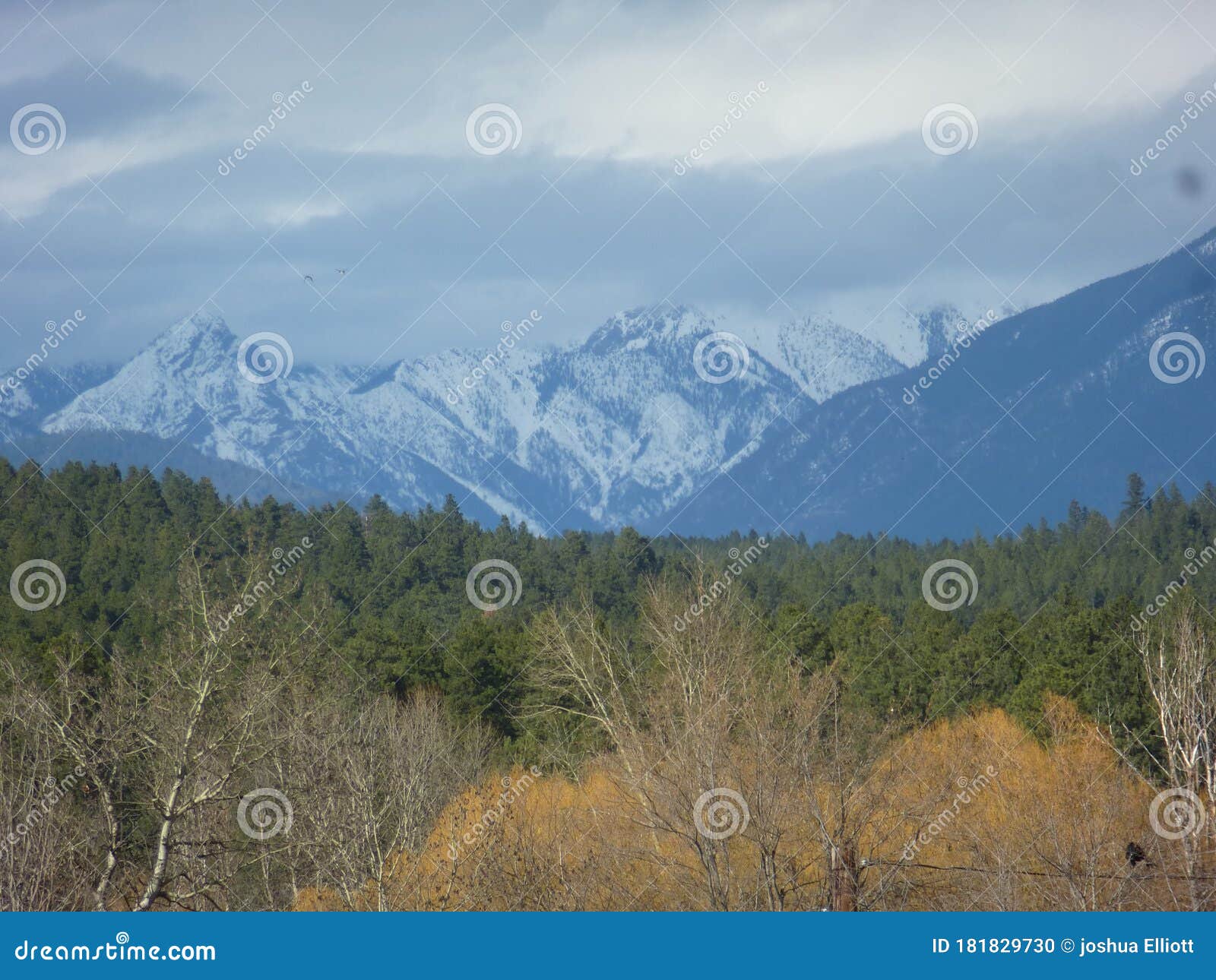 Spring in the Rockies stock photo. Image of tree, rock - 181829730