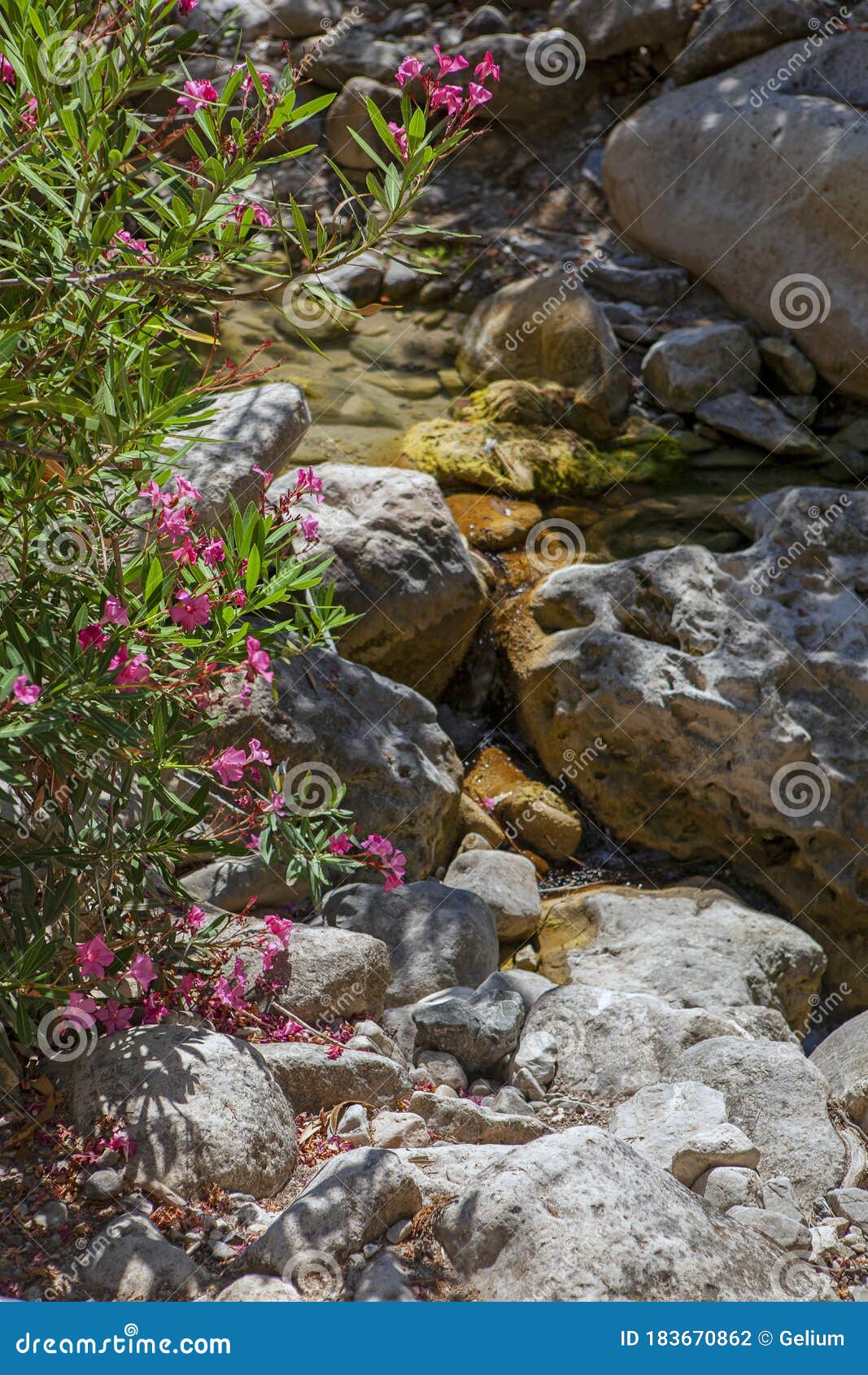Spring stock photo. Image of spring, nature, tourism - 183670862
