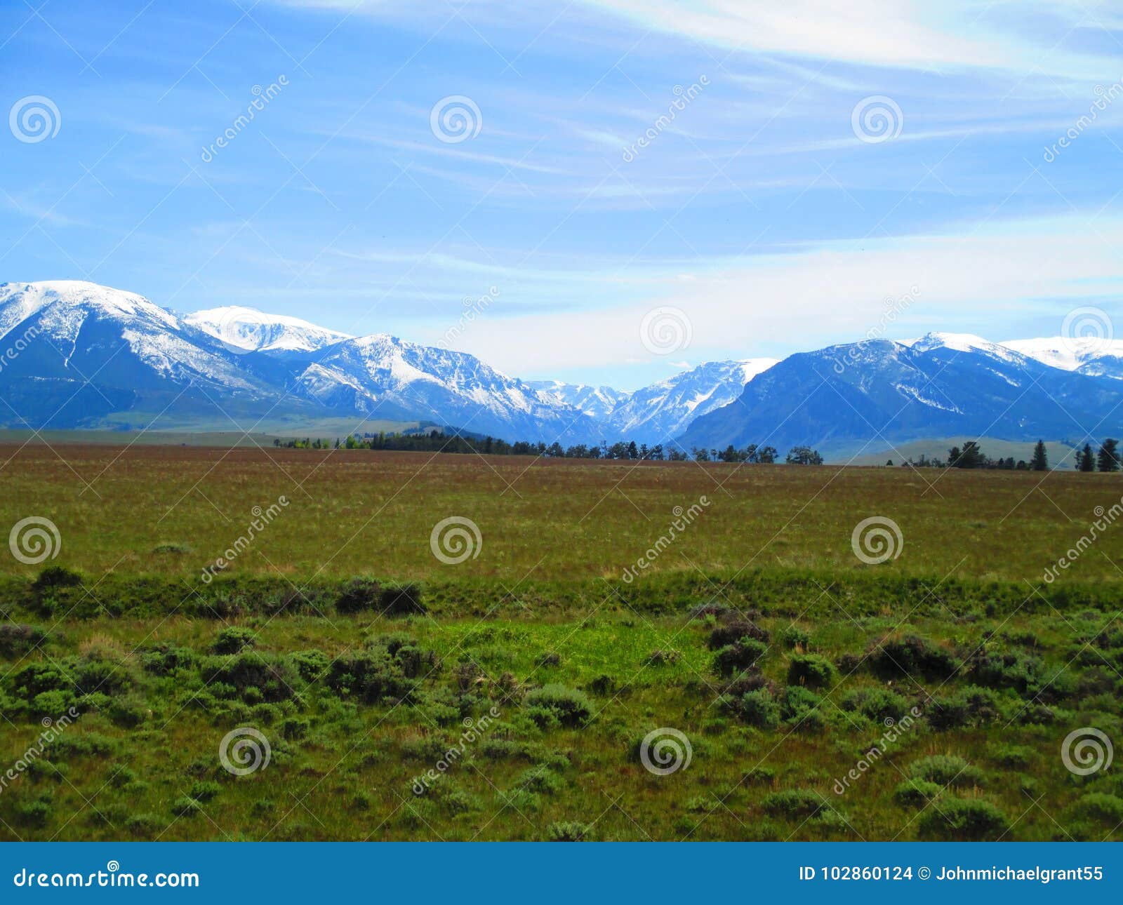High Mountain Plains stock photo. Image of bear, montana - 102860124