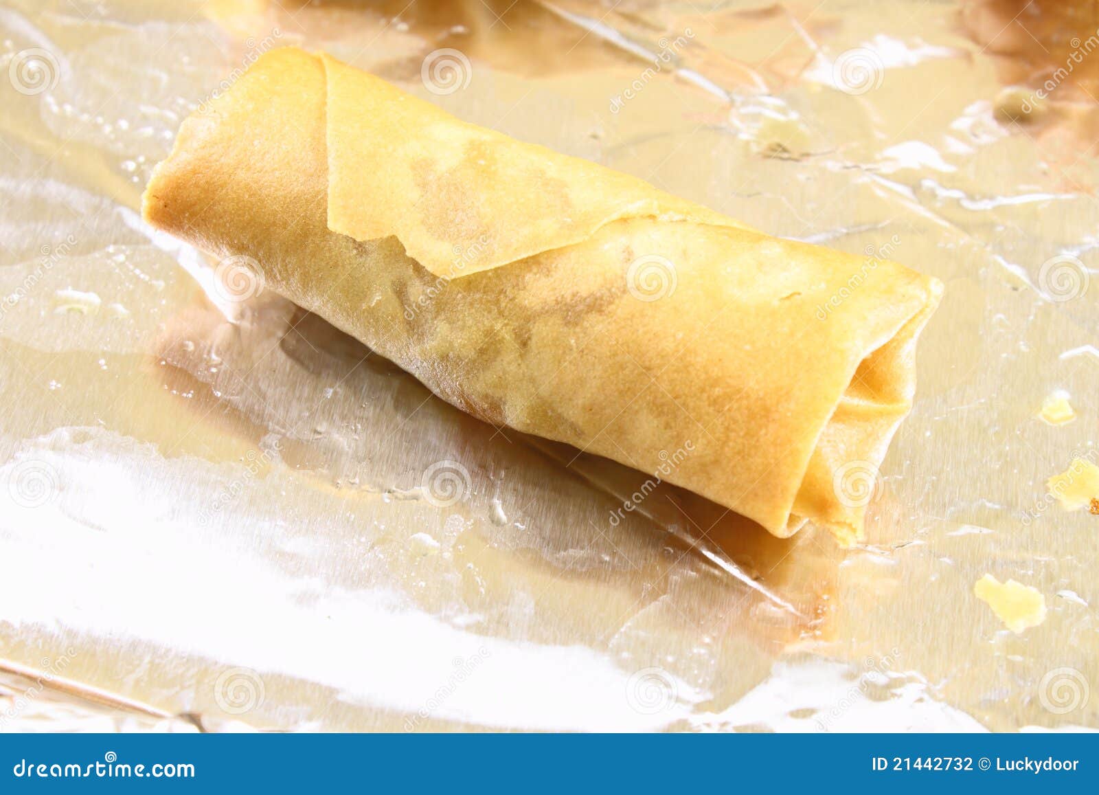 Spring roll stock photo. Image of rolls, fresh, side - 21442732