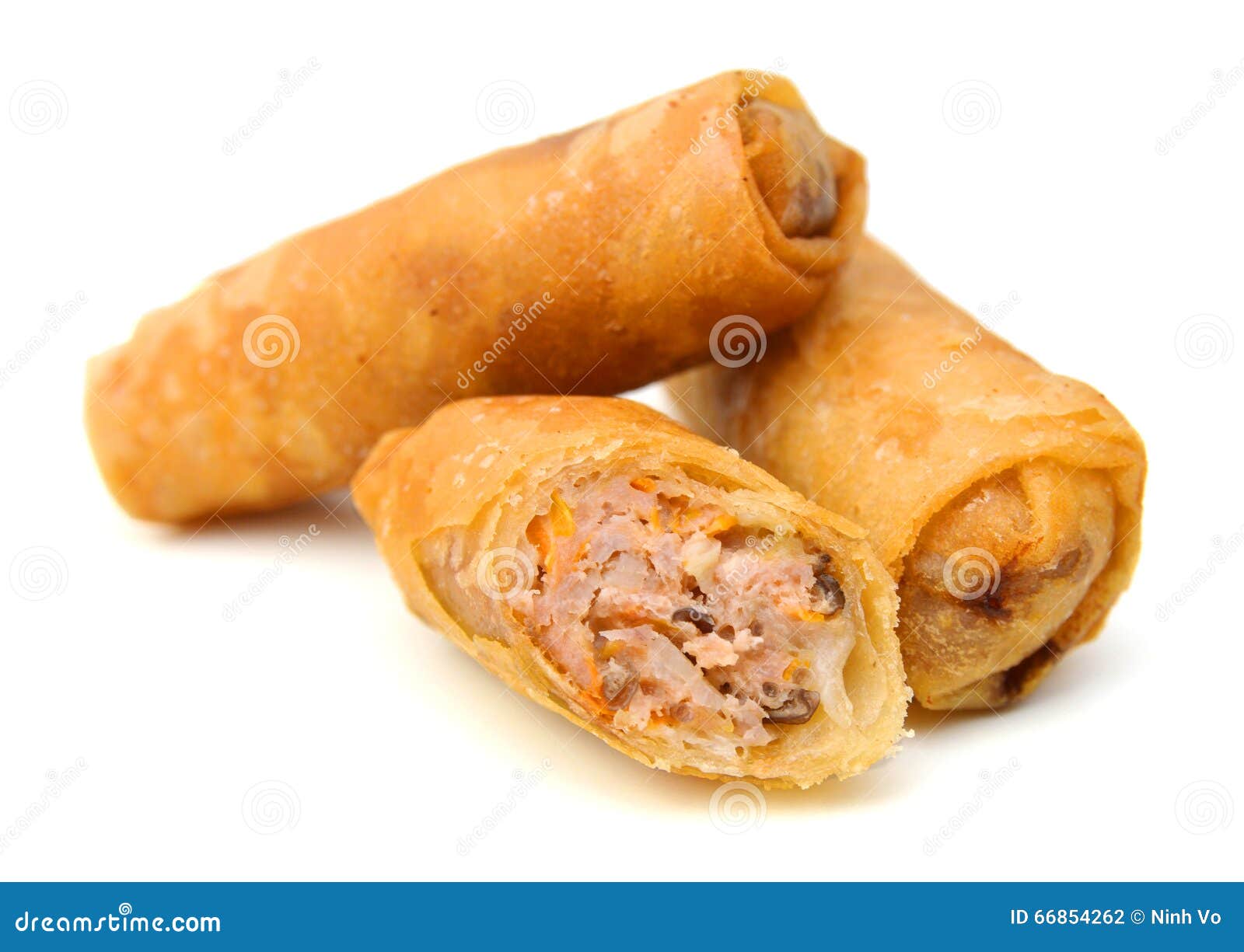 Spring Roll stock photo. Image of cuisine, dinner, studio - 66854262