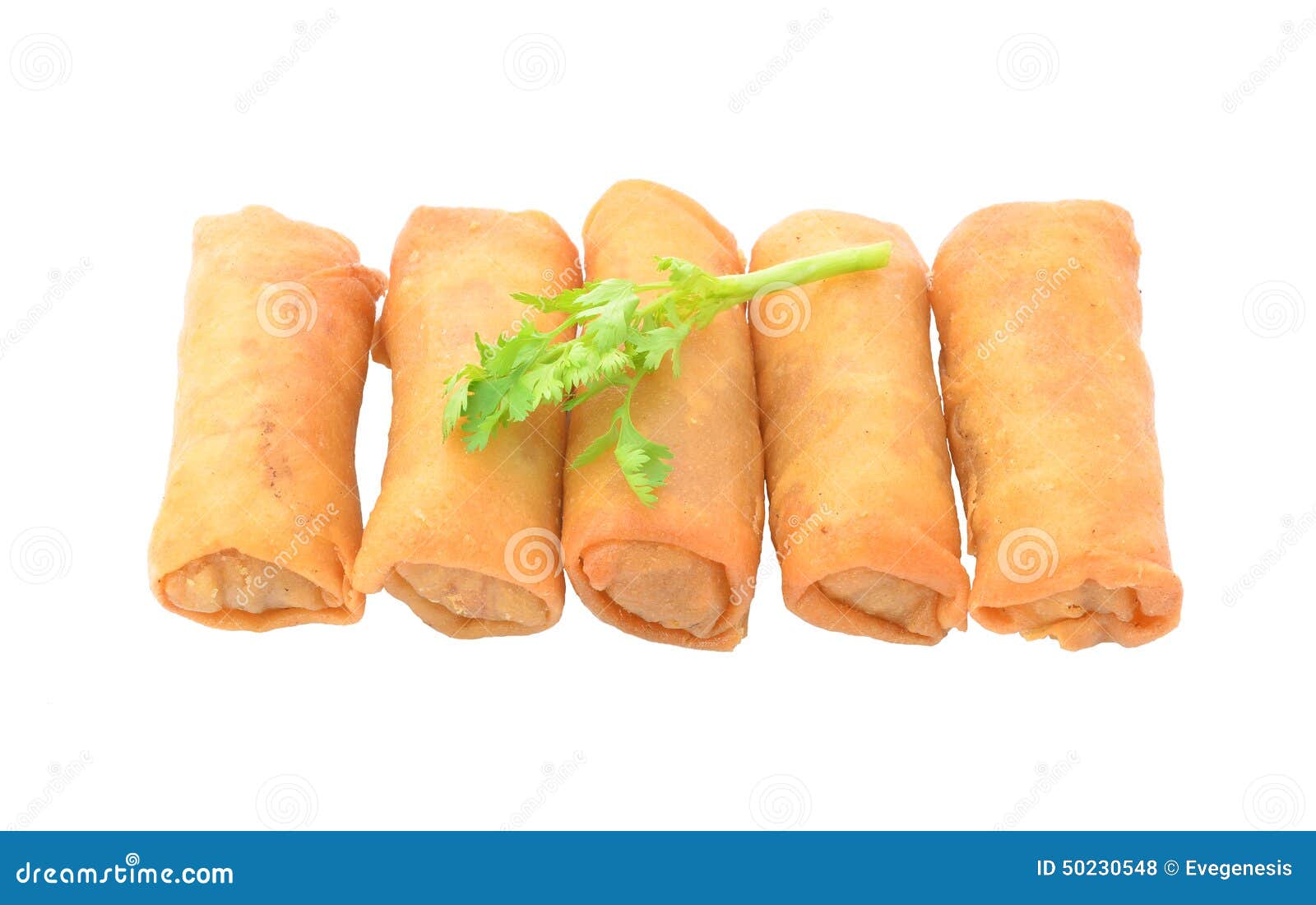 Spring Roll Also Known As Egg Roll Isolated on White. Stock Photo ...