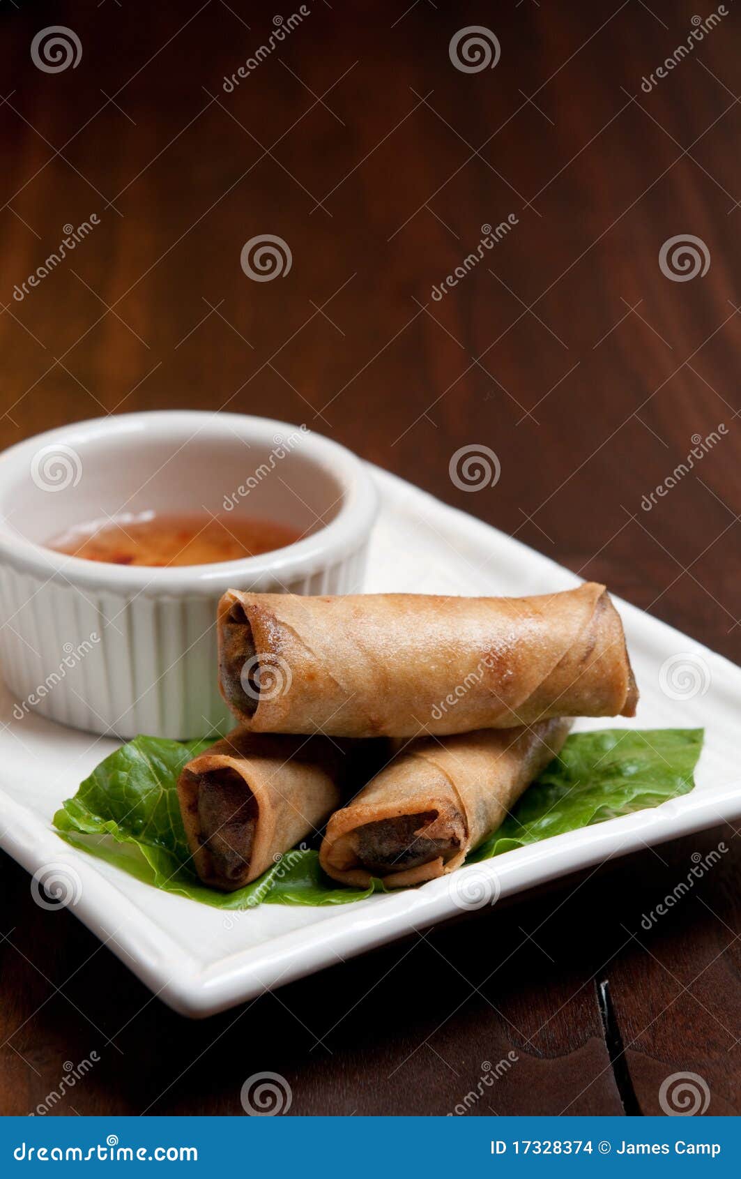 Spring roll appetizer stock photo. Image of food, roll - 17328374