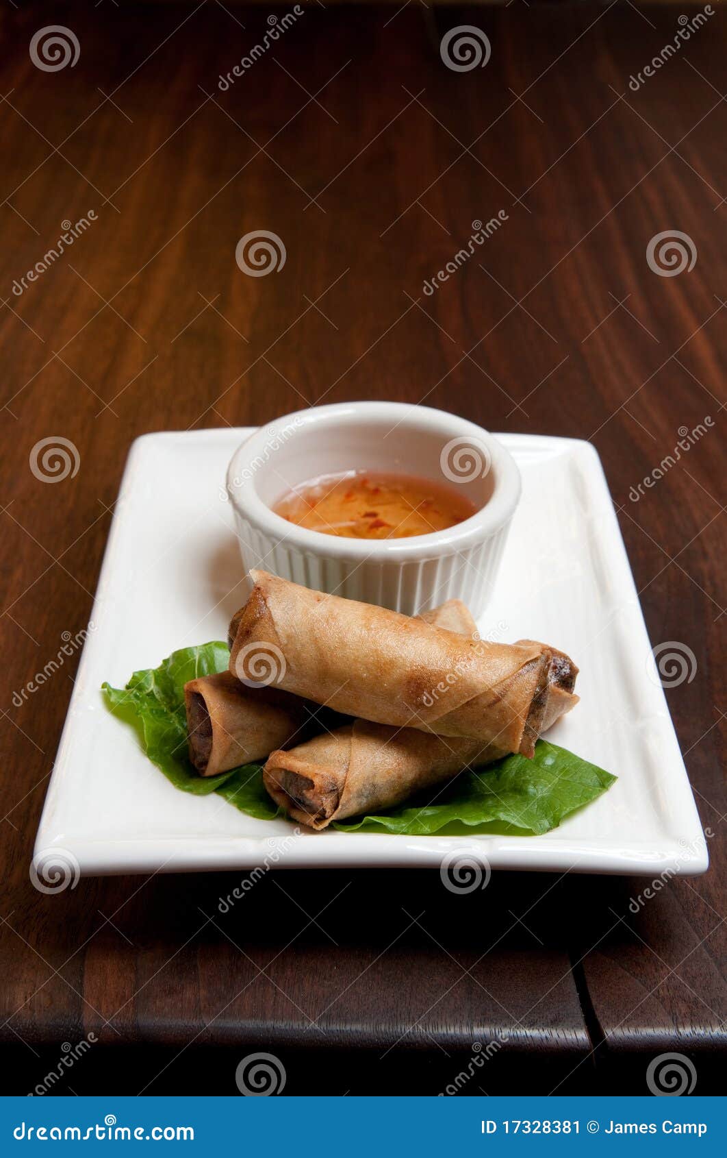 Spring roll appetizer stock image. Image of beef, appetizer - 17328381