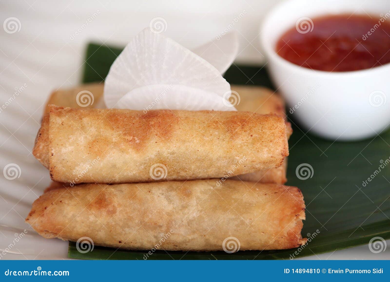 Spring roll asian food stock photo. Image of asian, close - 14894810