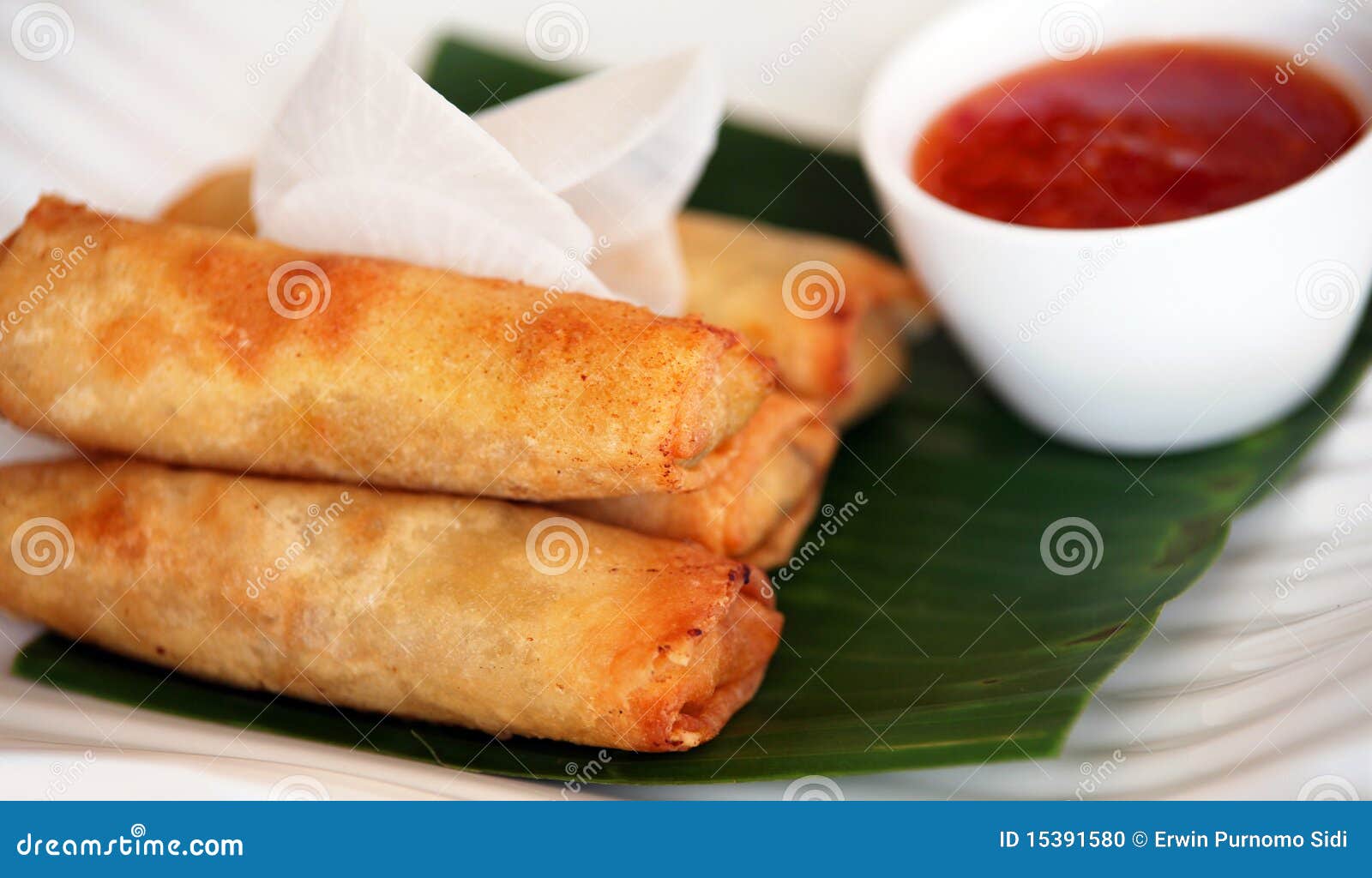 Spring roll asian food stock photo. Image of cuisine - 15391580
