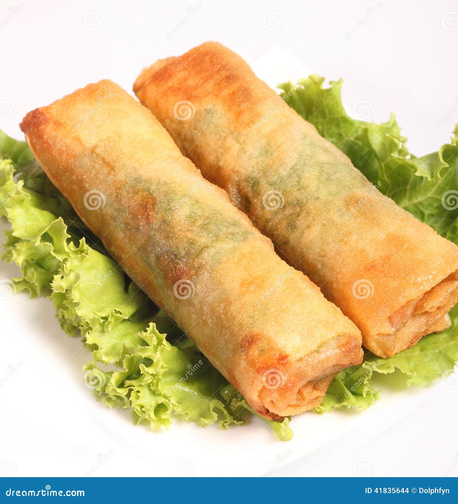 Spring roll stock photo. Image of springroll, snack, spring - 41835644