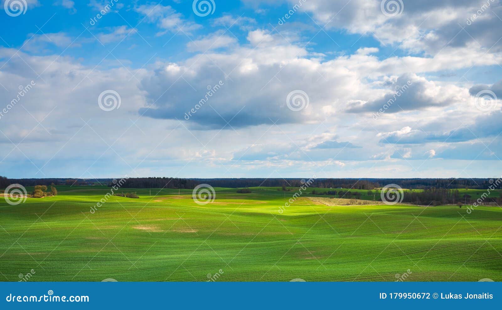 Spring Rolling Green Hills with Fields of Wheat. Stock Photo - Image of ...