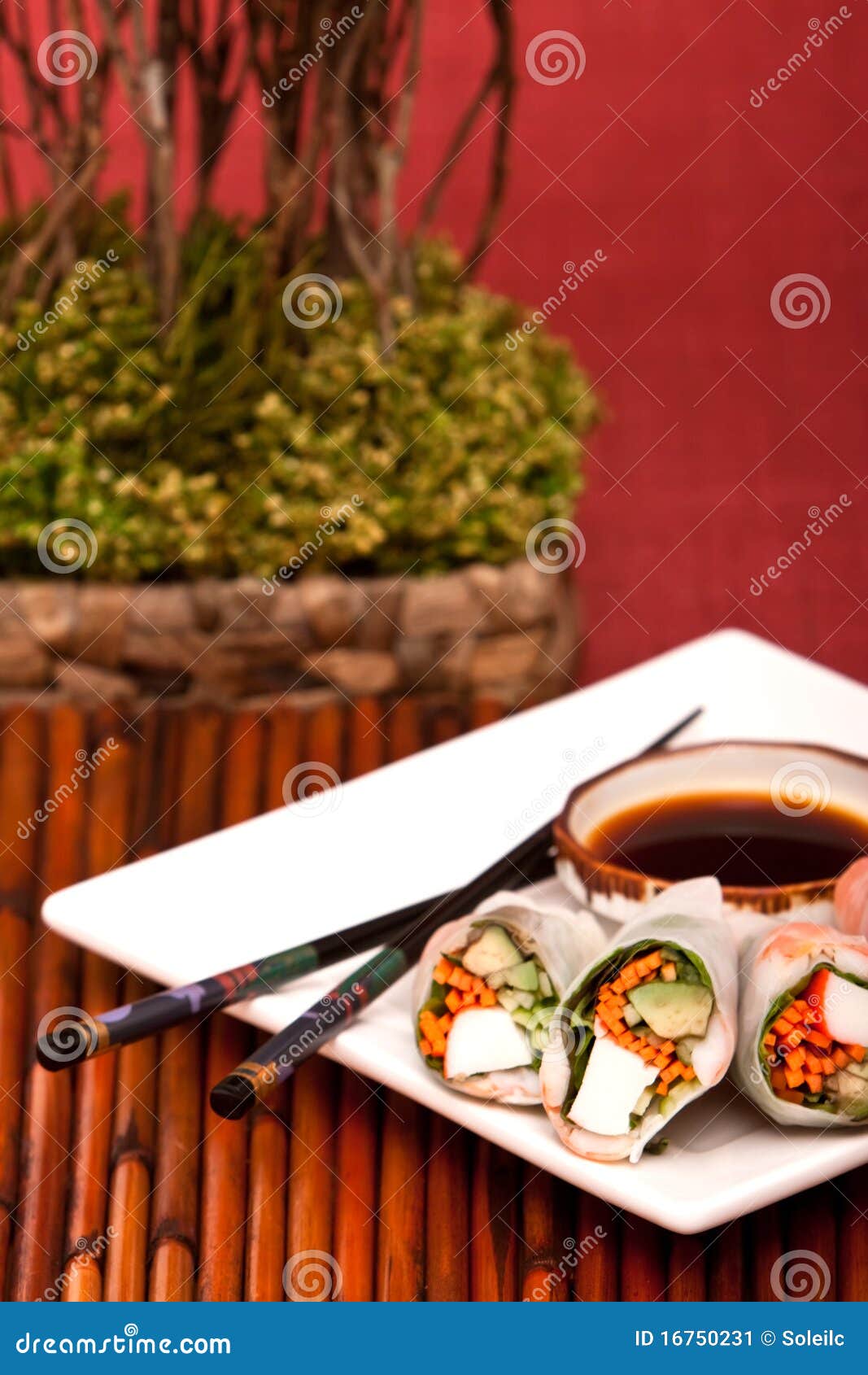 Spring rolls stock image. Image of rolls, japanese, bamboo - 16750231