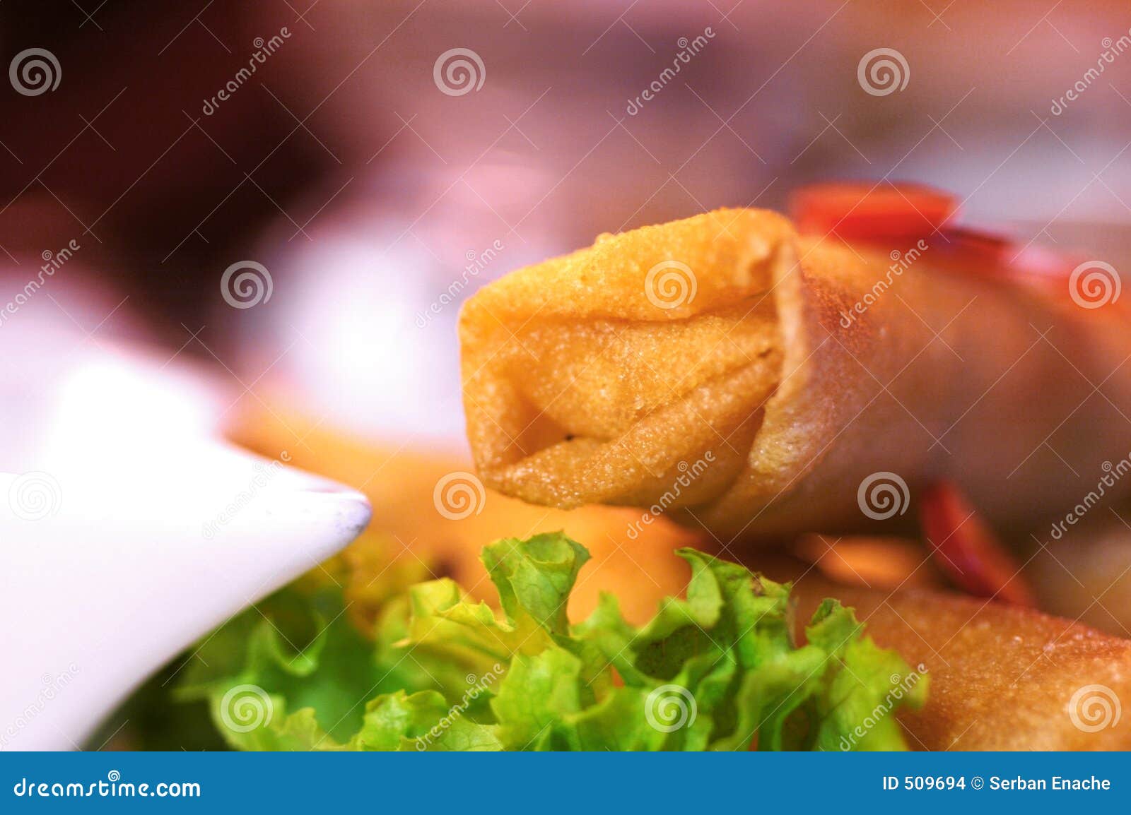 Spring rolls stock photo. Image of healthy, macro, rolls - 509694