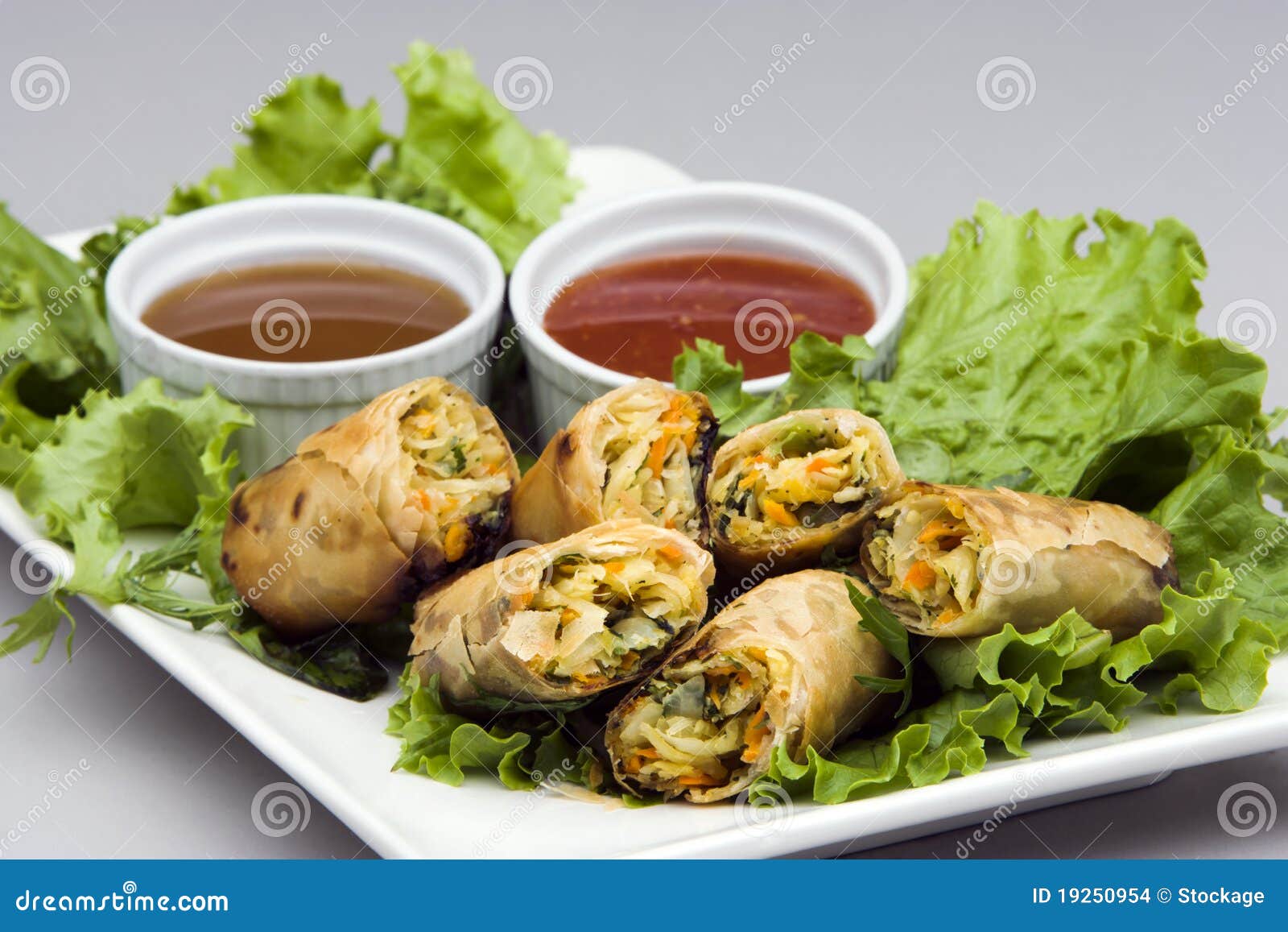 Spring Rolls appetizer stock photo. Image of vegetarian - 19250954