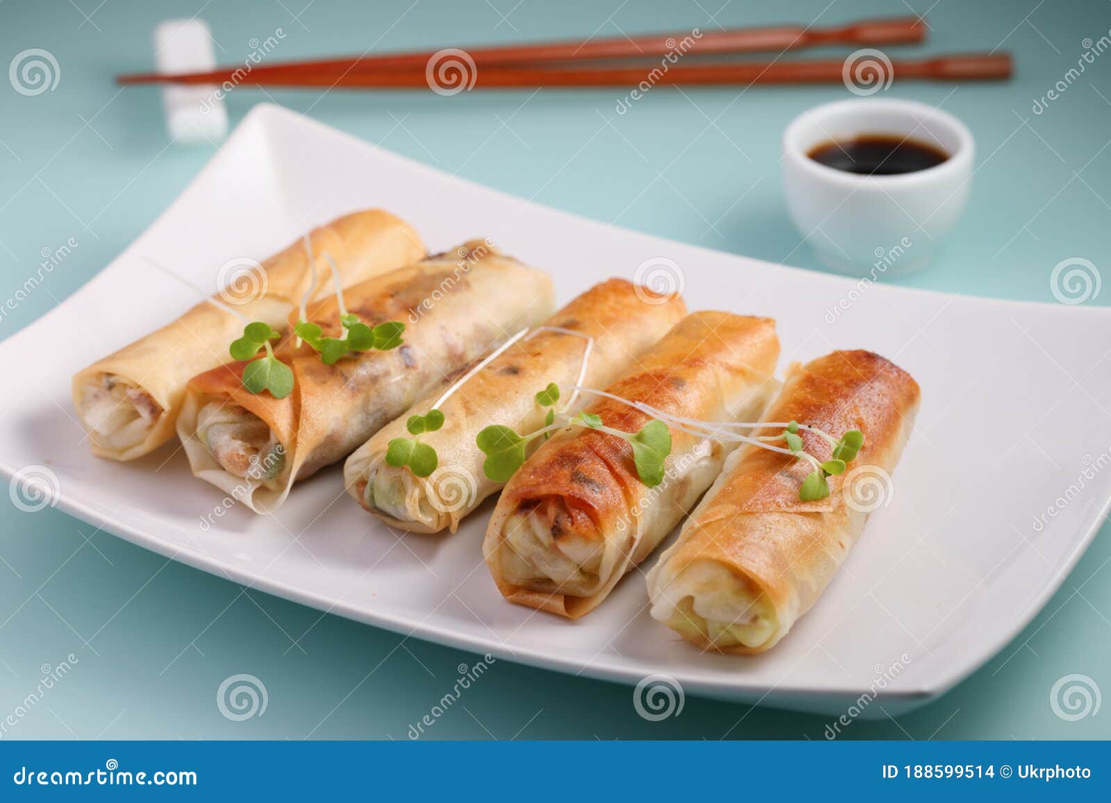 Spring Rolls on a Rectangular Plate Stock Photo - Image of sauce, brown ...