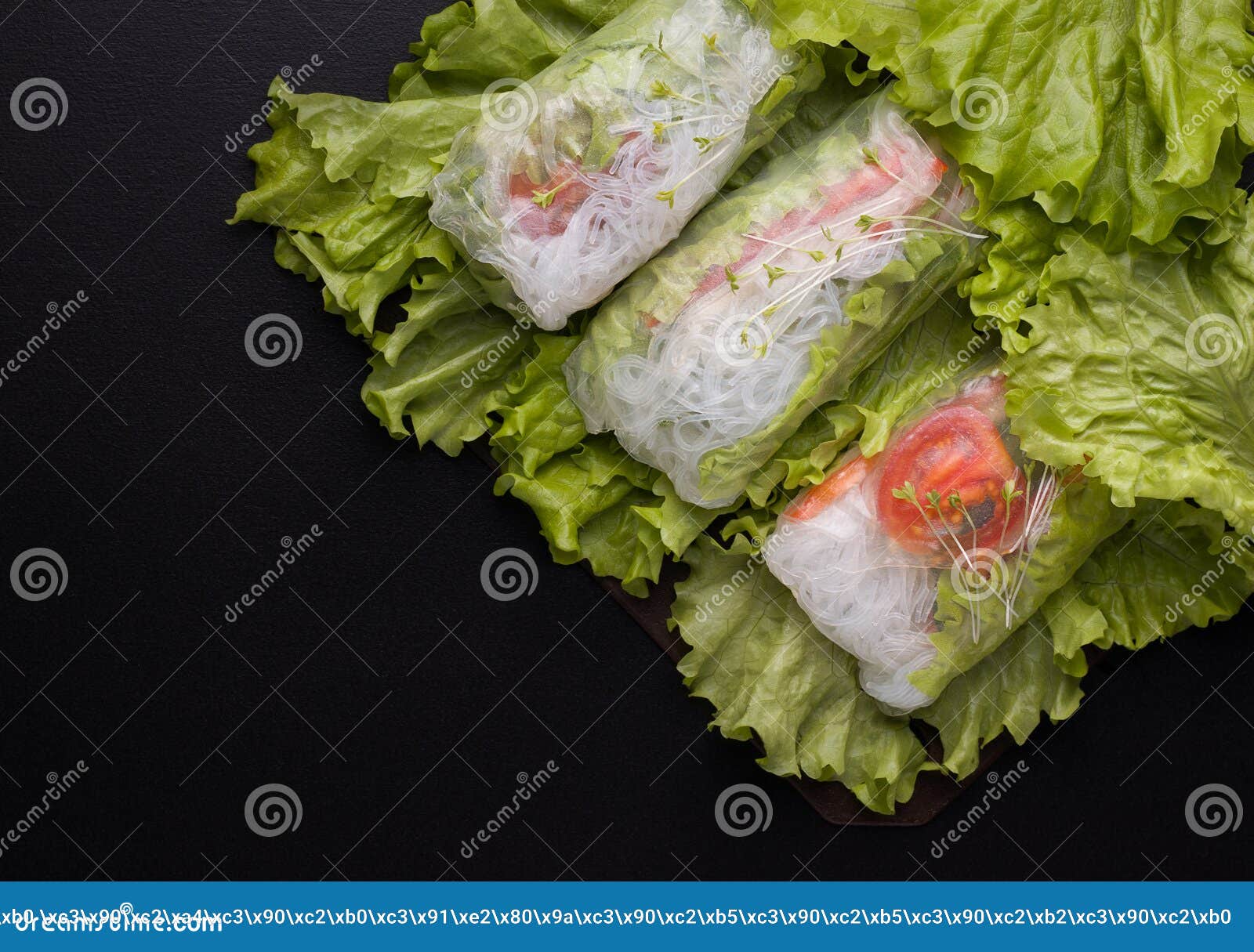 Spring Rolls with Vegetables on a Black Background.copy Spaces Stock ...