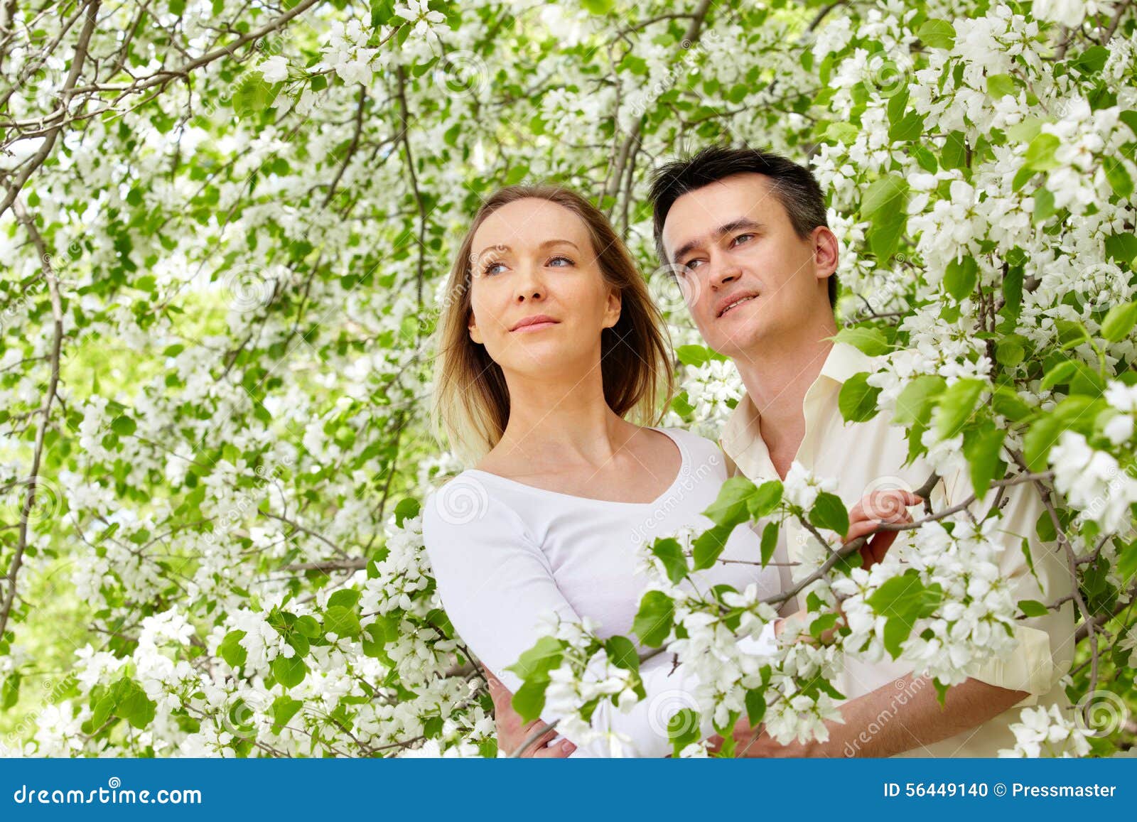Spring romance stock photo. Image of love, branch, park - 56449140